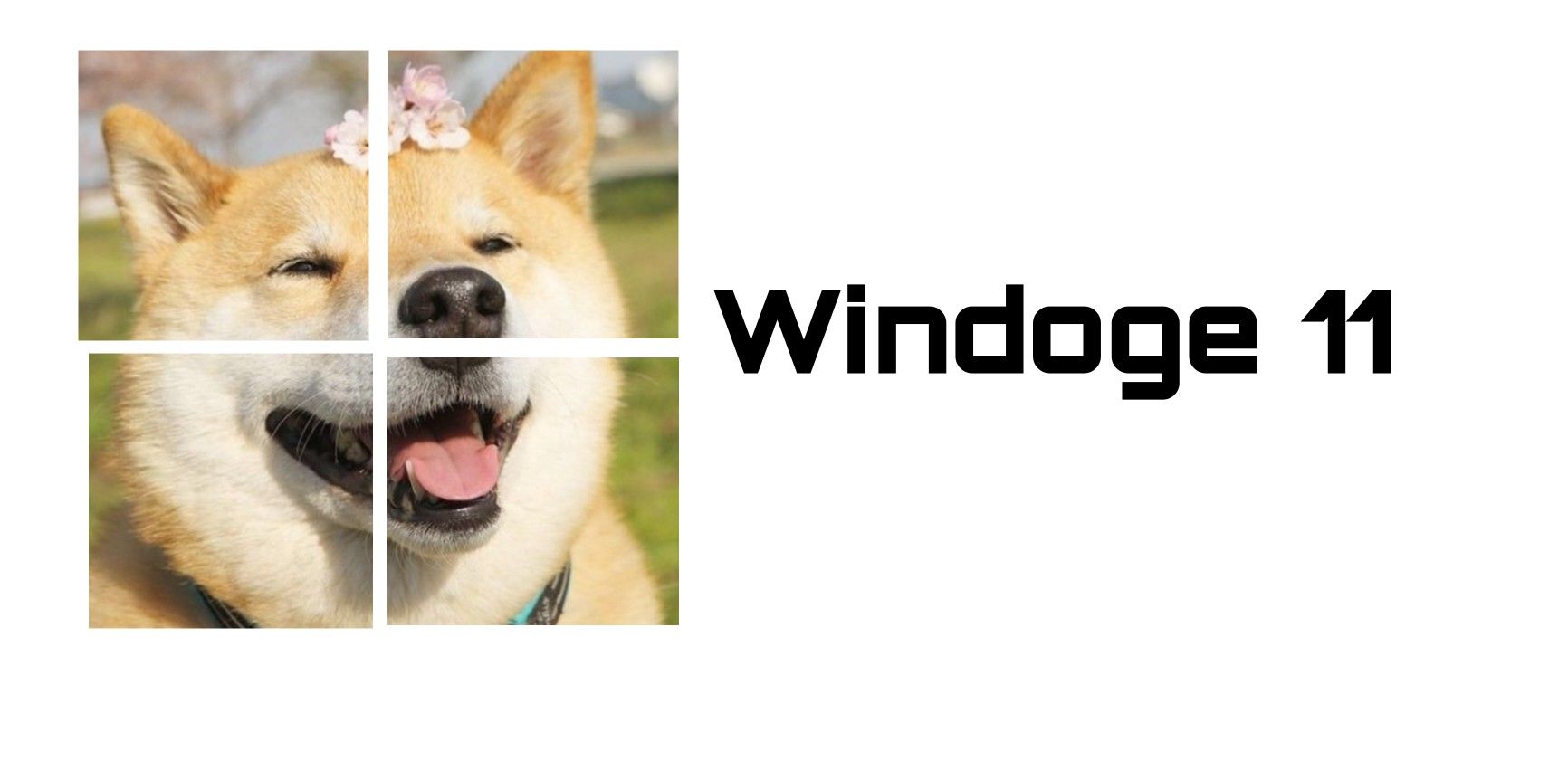 Windoge 11 Wallpapers - Top Free Windoge 11 Backgrounds - WallpaperAccess