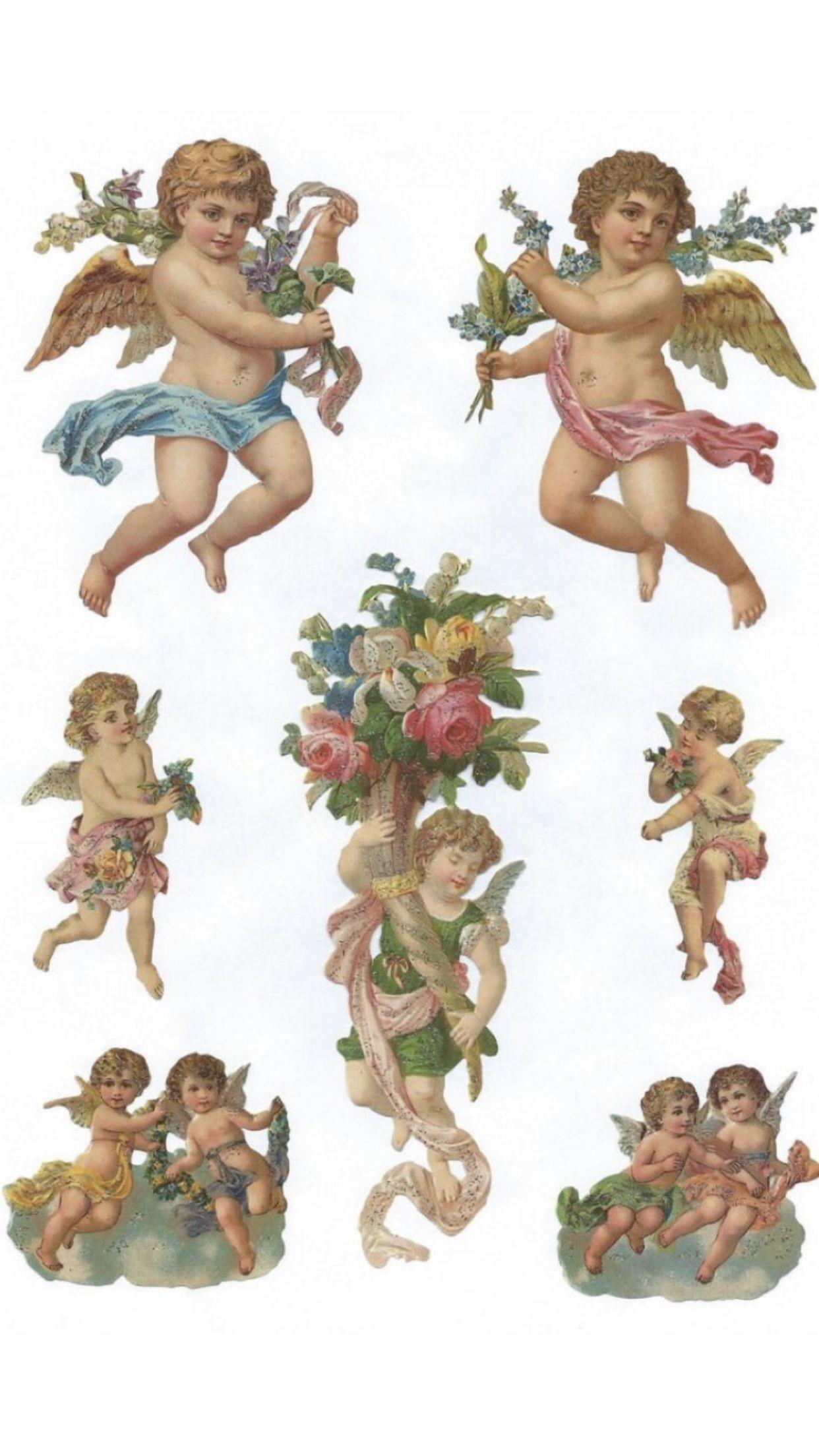 Cherub Wallpapers - Top Free Cherub Backgrounds - WallpaperAccess