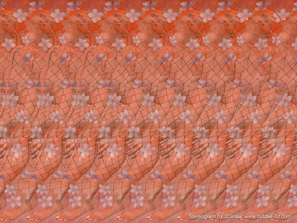Stereogram Wallpapers - Top Free Stereogram Backgrounds - WallpaperAccess