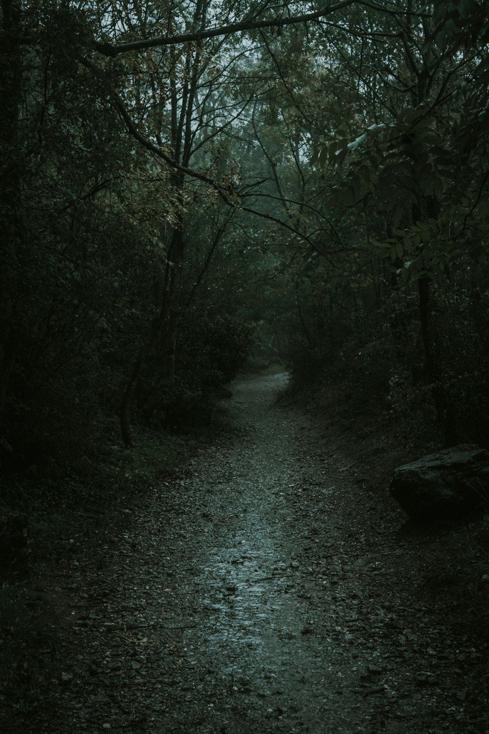 Horror Nature Wallpapers - Top Free Horror Nature Backgrounds ...