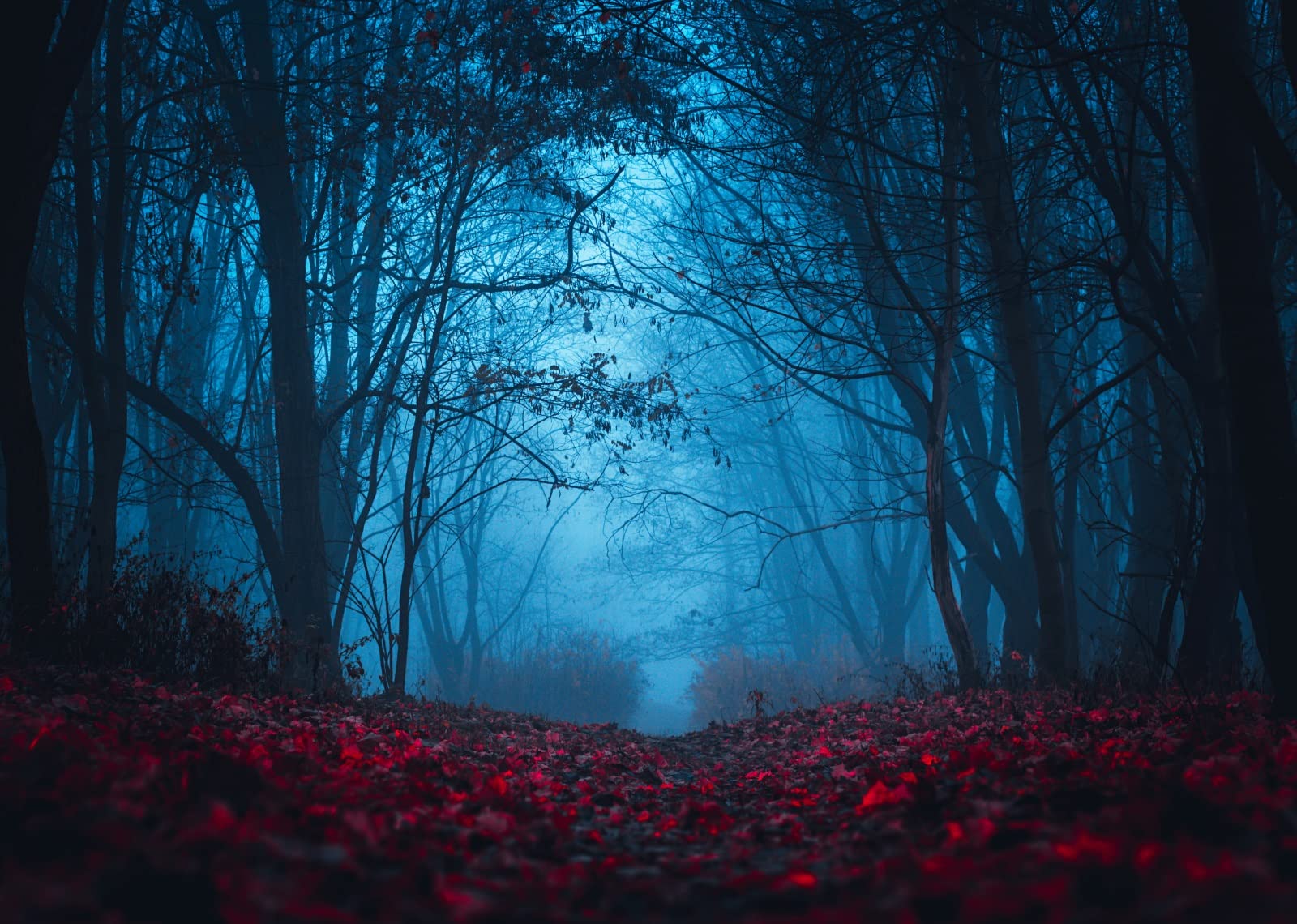 Horror Nature Wallpapers - Top Free Horror Nature Backgrounds ...