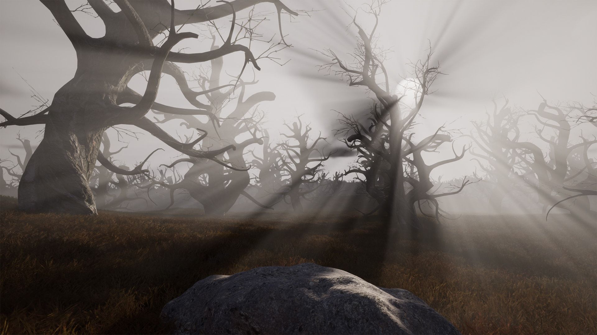 Horror Nature Wallpapers - Top Free Horror Nature Backgrounds ...