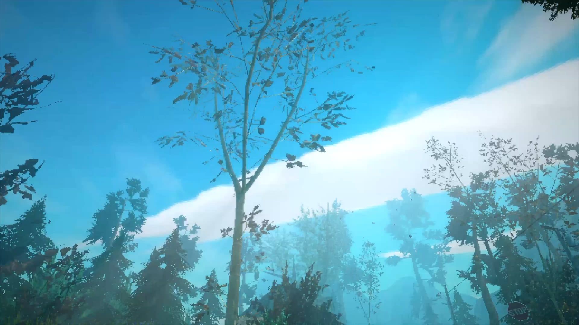 Horror Nature Wallpapers - Top Free Horror Nature Backgrounds ...