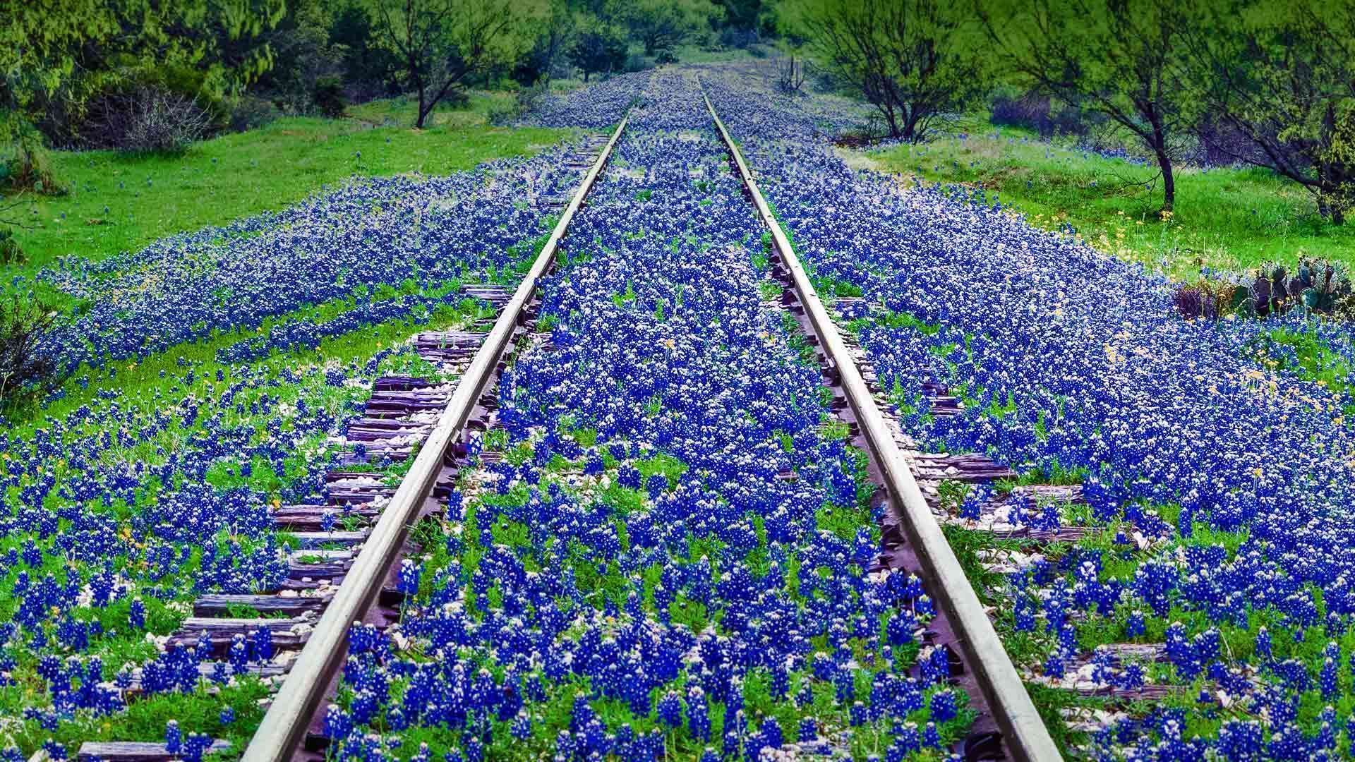 Texas Spring Wallpapers - Top Free Texas Spring Backgrounds ...