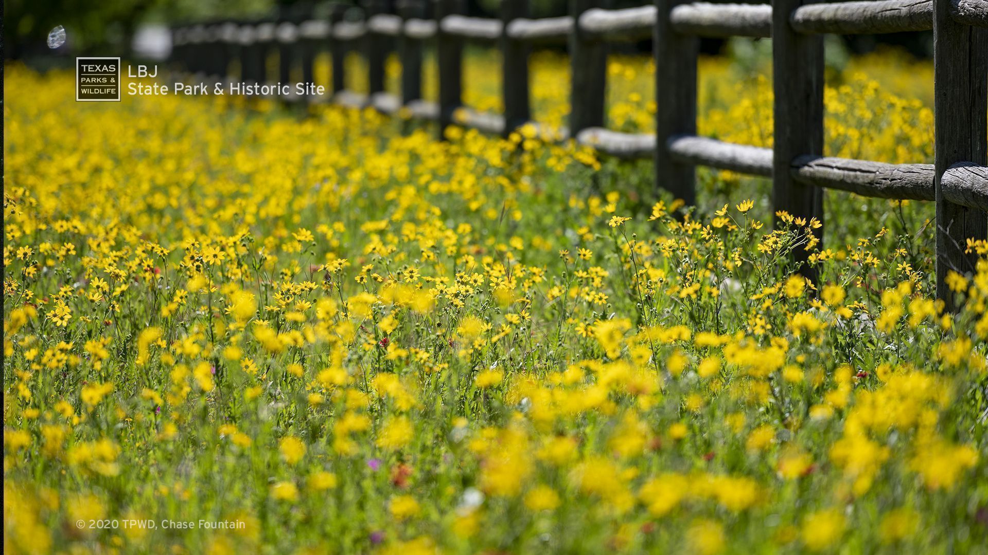 Texas Spring Wallpapers - Top Free Texas Spring Backgrounds ...