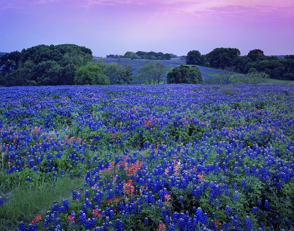 Texas Spring Wallpapers - Top Free Texas Spring Backgrounds ...