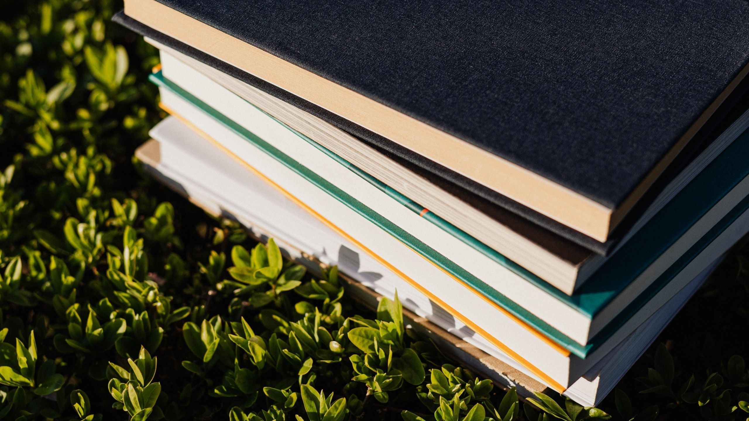 Stack of Books Wallpapers - Top Free Stack of Books Backgrounds ...