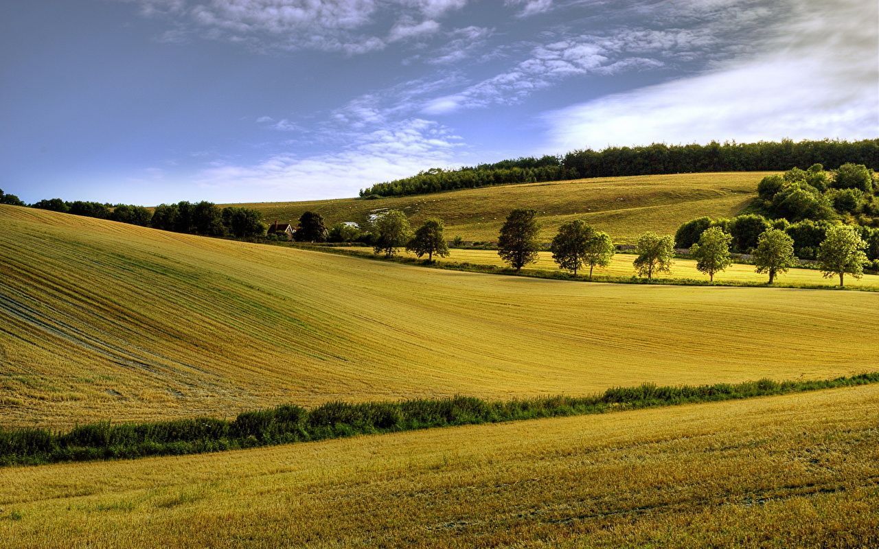Field Landscape Wallpapers - Top Free Field Landscape Backgrounds ...