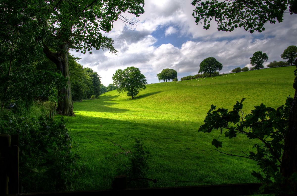 Field Landscape Wallpapers - Top Free Field Landscape Backgrounds ...