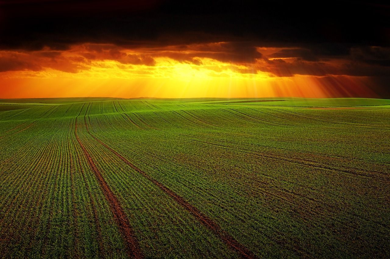 Field Landscape Wallpapers - Top Free Field Landscape Backgrounds ...