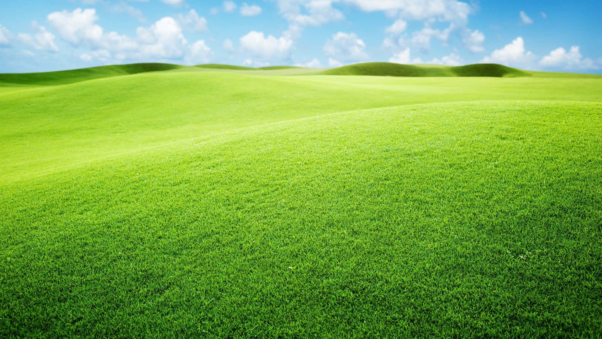 Field Landscape Wallpapers - Top Free Field Landscape Backgrounds ...