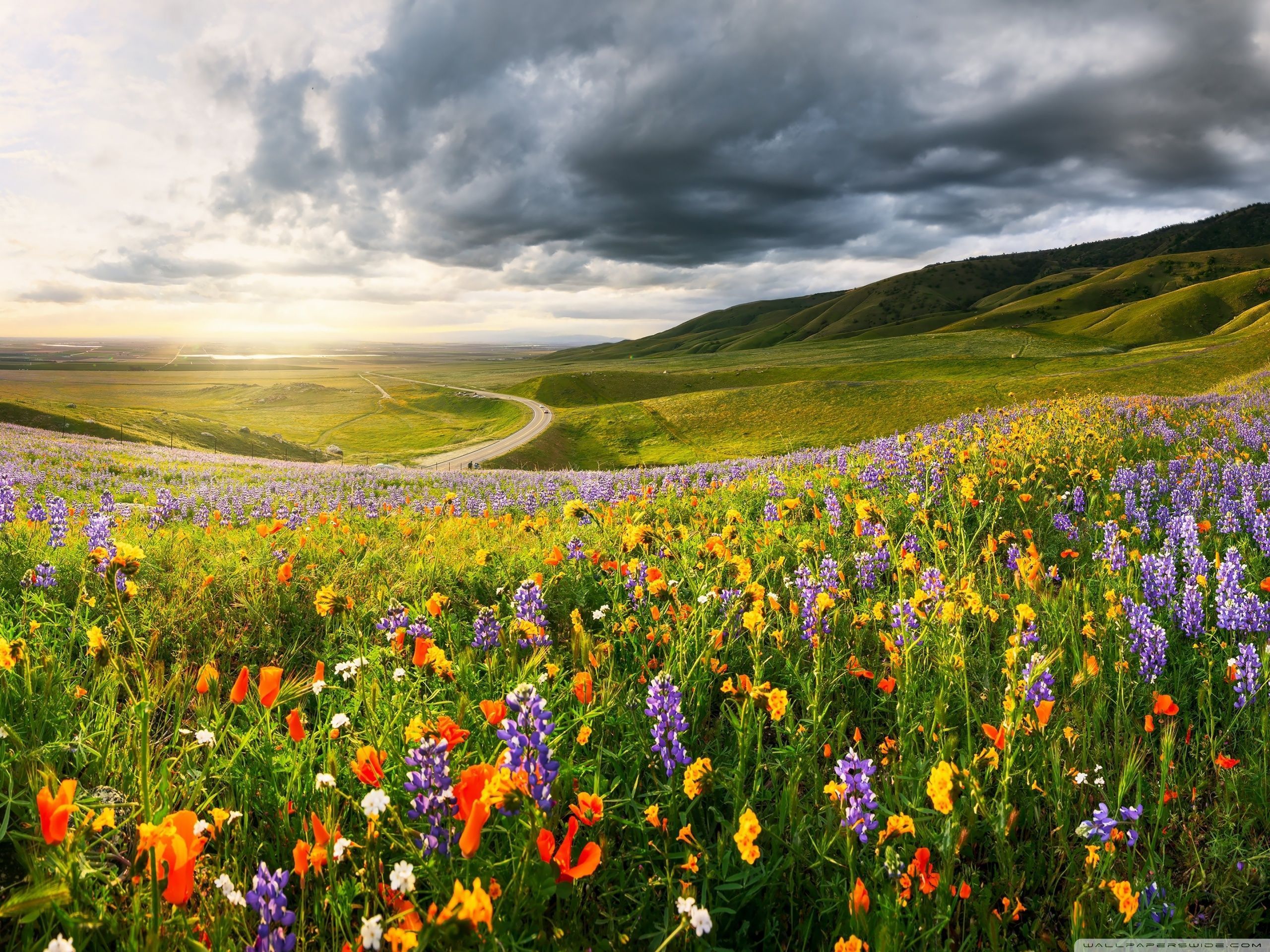 Field Landscape Wallpapers - Top Free Field Landscape Backgrounds ...