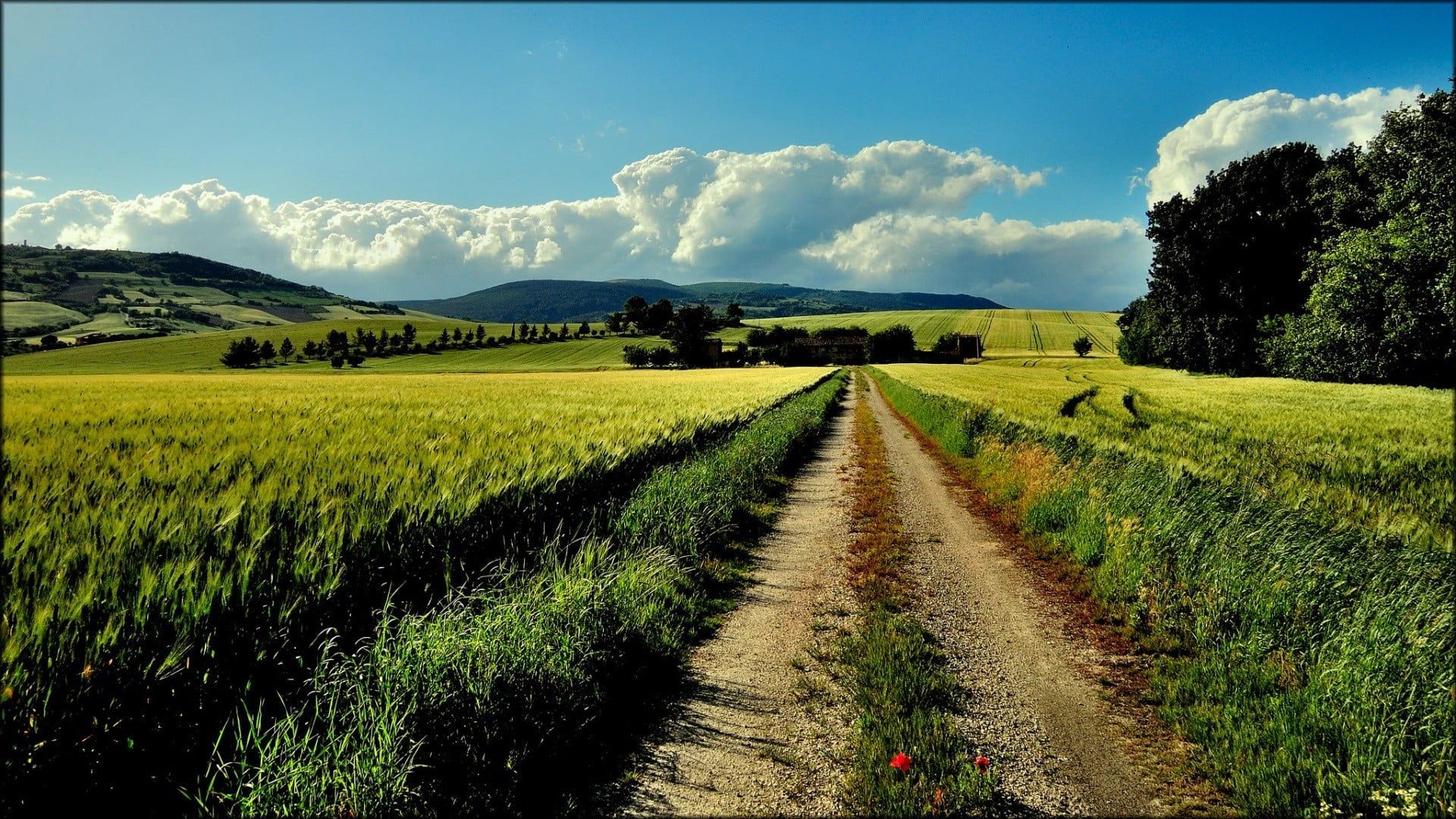 Field Landscape Wallpapers - Top Free Field Landscape Backgrounds ...