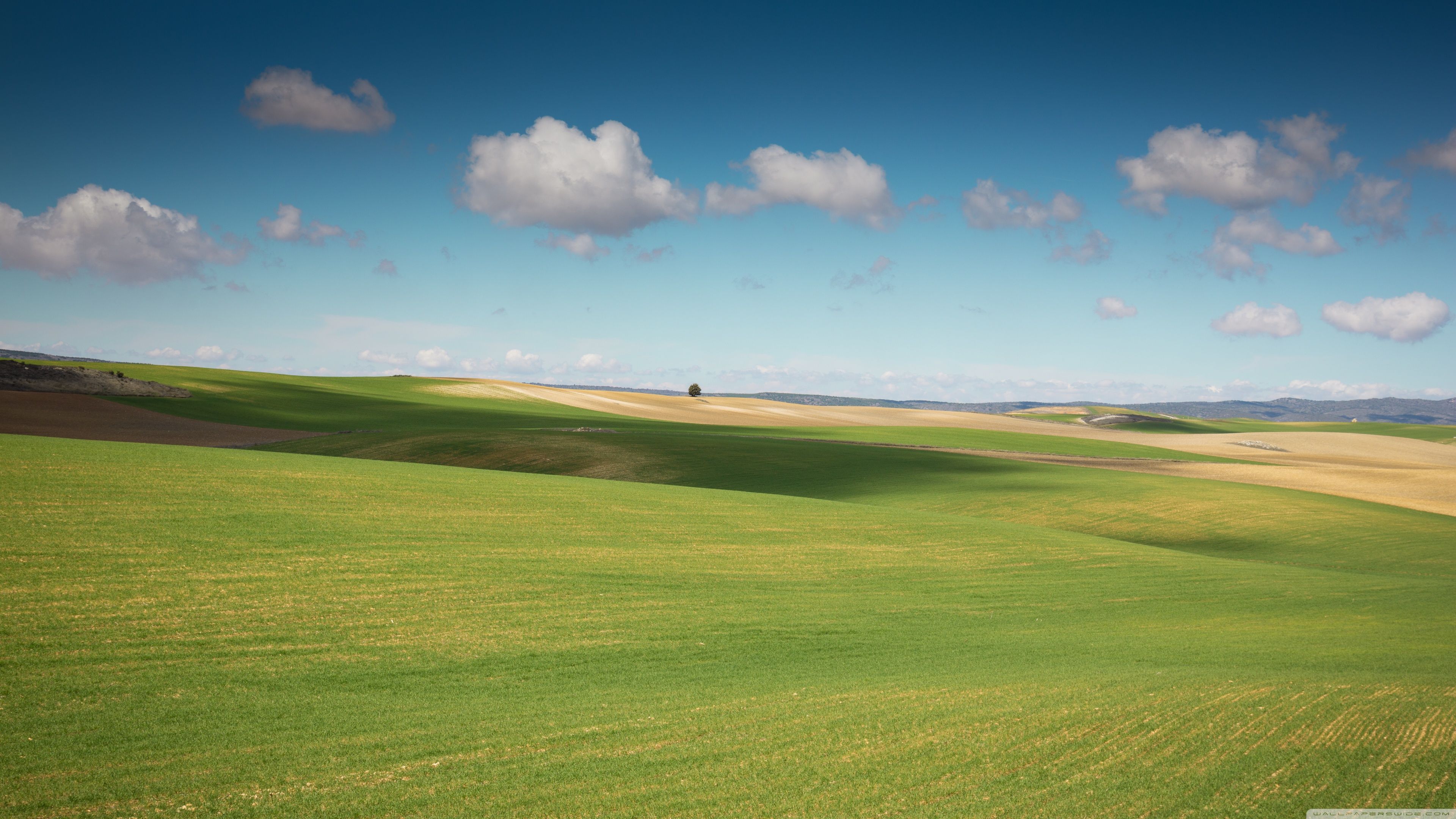 Field Landscape Wallpapers - Top Free Field Landscape Backgrounds ...