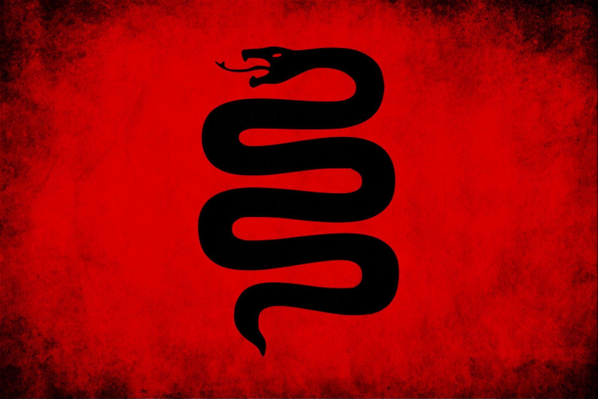 Red Snake Wallpapers - Top Free Red Snake Backgrounds - WallpaperAccess