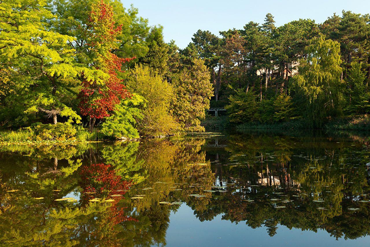 Denmark Nature Wallpapers - Top Free Denmark Nature Backgrounds ...