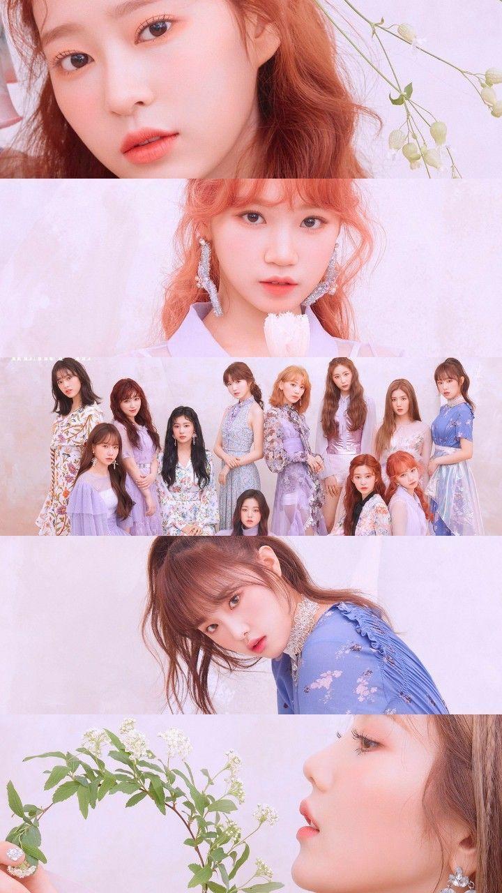 IZ*ONE Wallpapers - Top Free IZ*ONE Backgrounds - WallpaperAccess