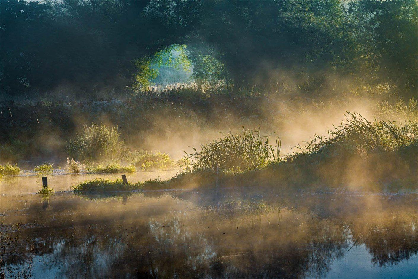 Denmark Nature Wallpapers - Top Free Denmark Nature Backgrounds ...