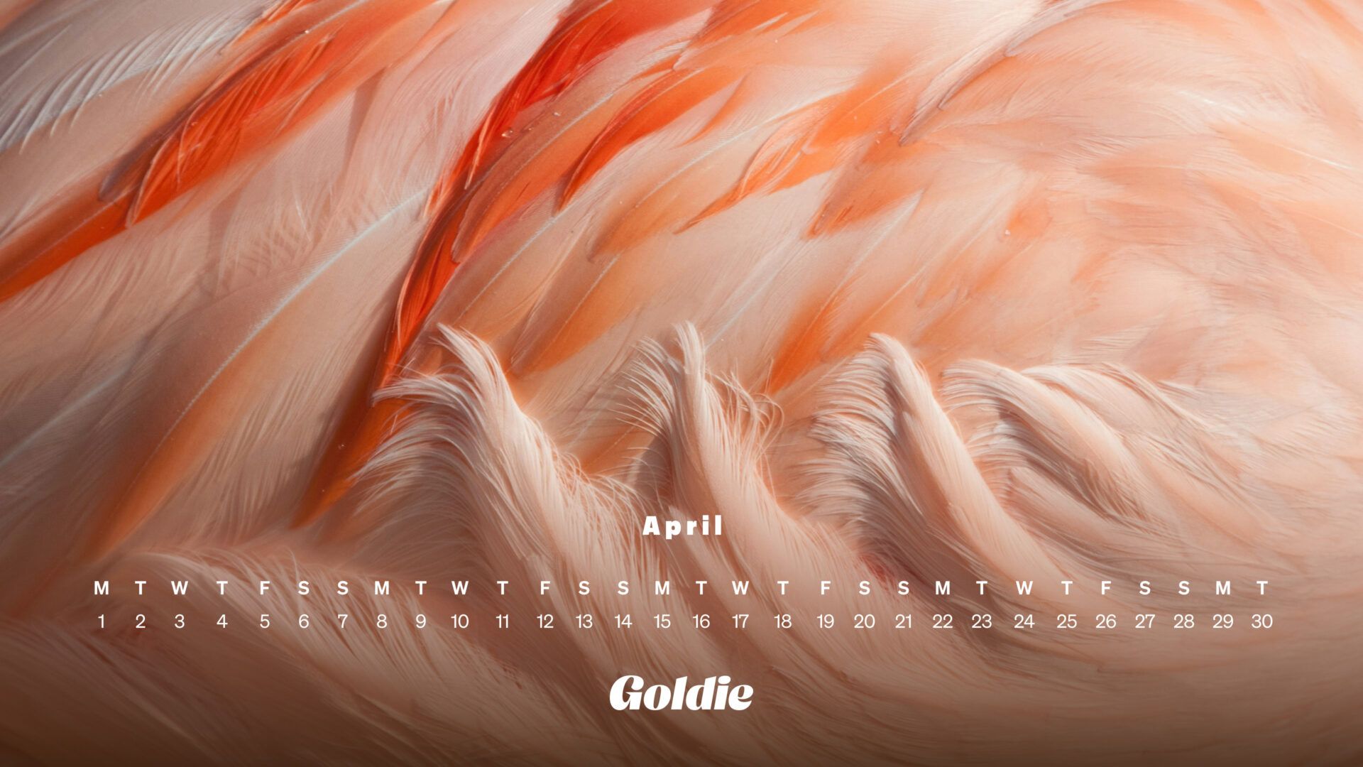 April 2024 Calendar Wallpapers - Top Free April 2024 Calendar ...