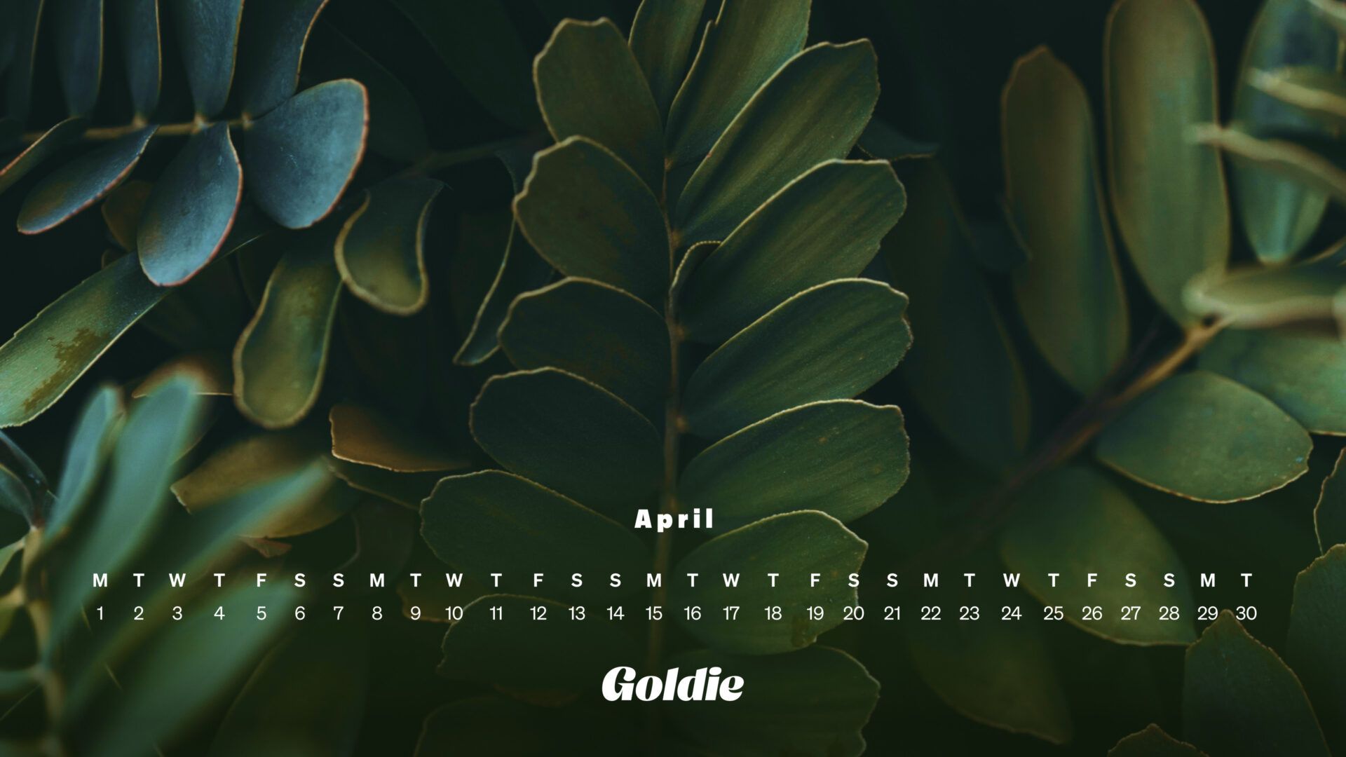 April 2024 Calendar Wallpapers - Top Free April 2024 Calendar ...