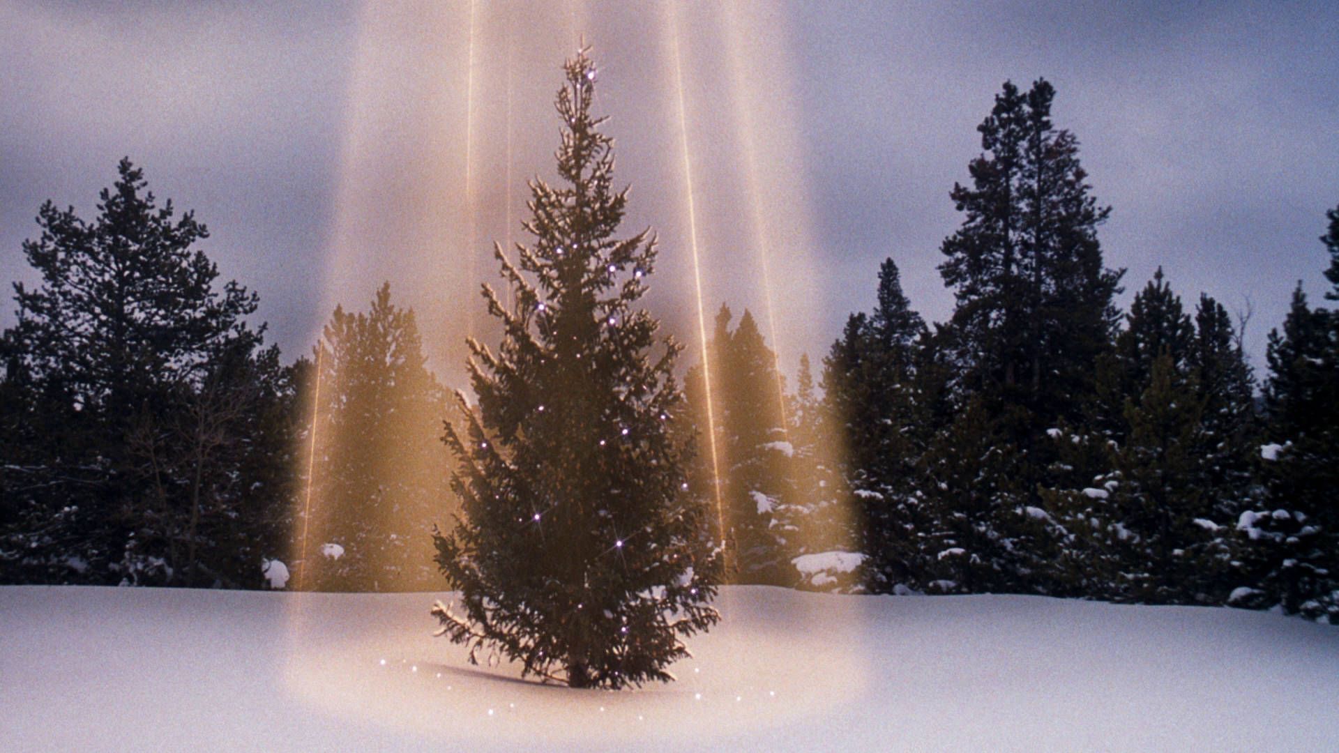 Griswold Wallpapers - Top Free Griswold Backgrounds - WallpaperAccess