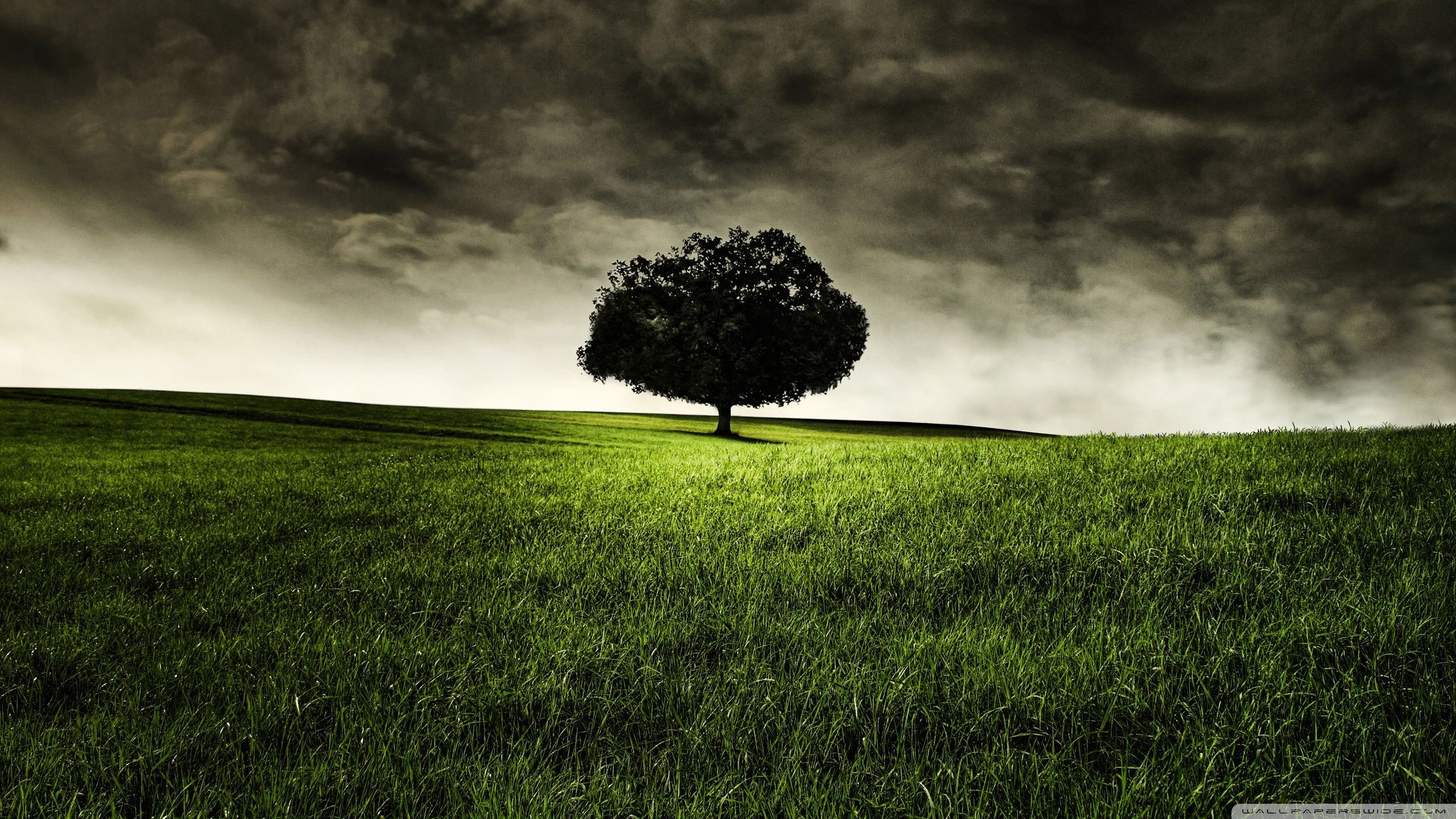 Mind Fresh Wallpapers - Top Free Mind Fresh Backgrounds - WallpaperAccess