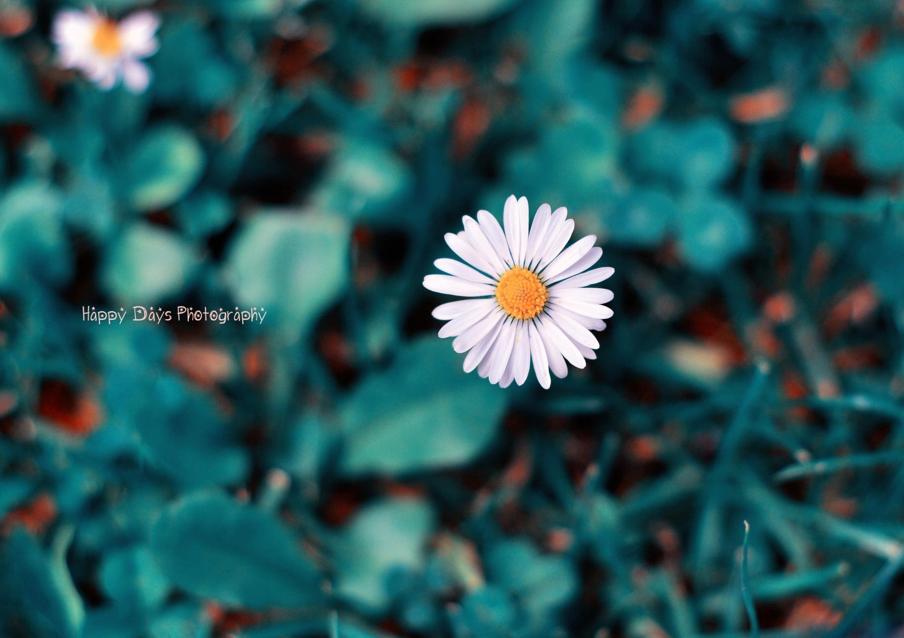 Unique Photography Wallpapers - Top Free Unique Photography Backgrounds ...