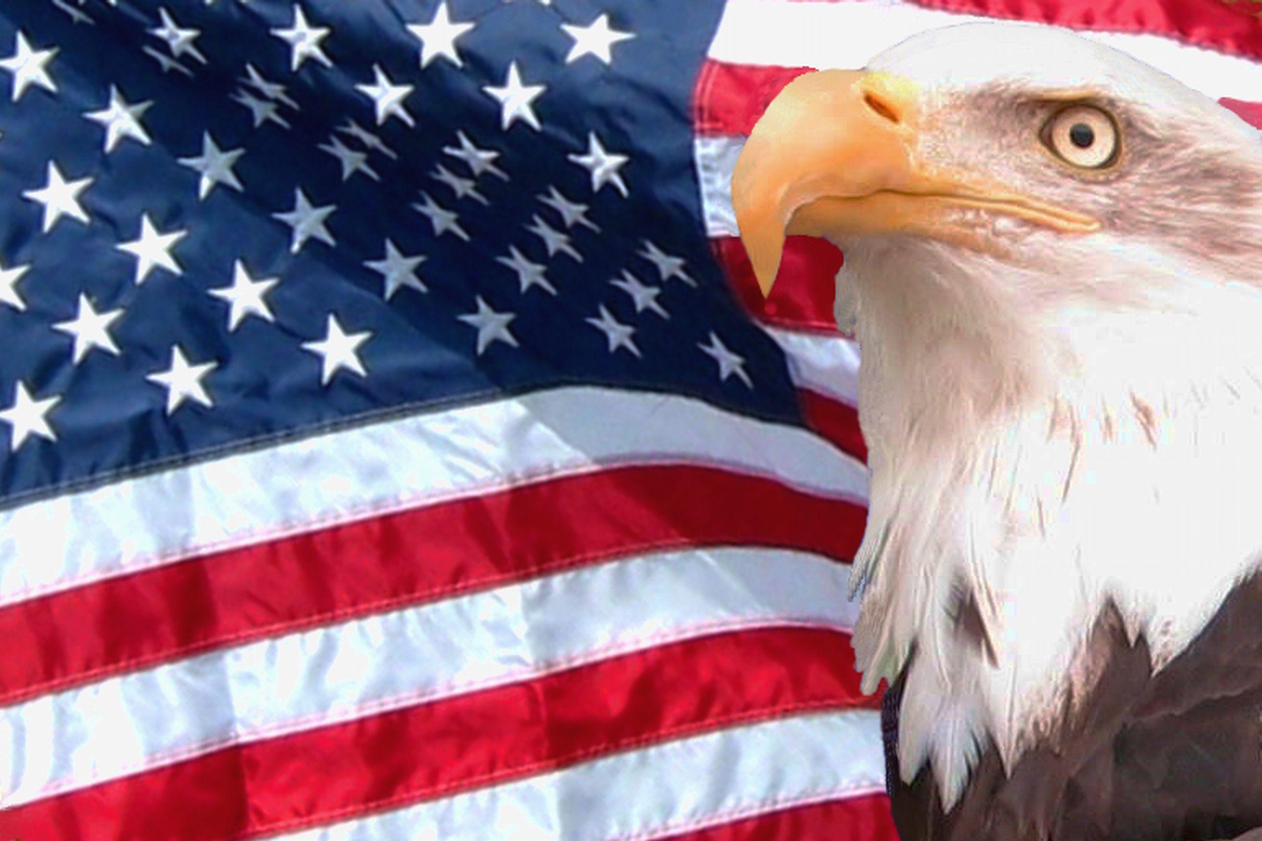Us Eagle Flag Wallpapers - Top Free Us Eagle Flag Backgrounds - WallpaperAccess