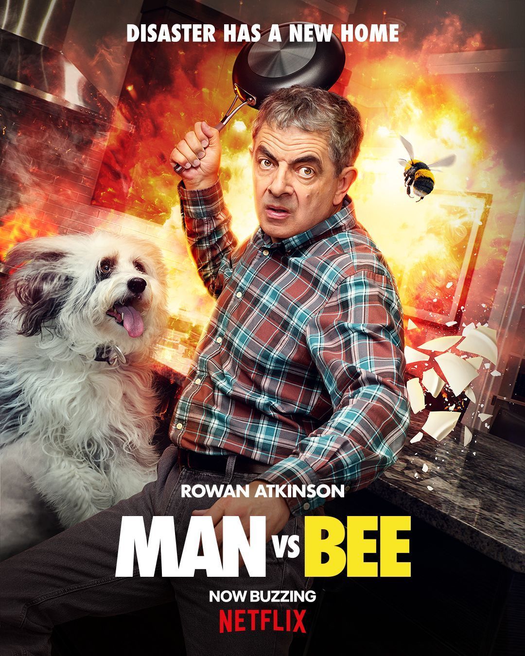 Man Vs Bee Wallpapers - Top Free Man Vs Bee Backgrounds - WallpaperAccess