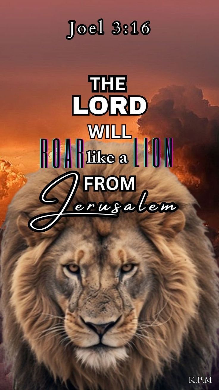 Lion God Wallpapers - Top Free Lion God Backgrounds - WallpaperAccess