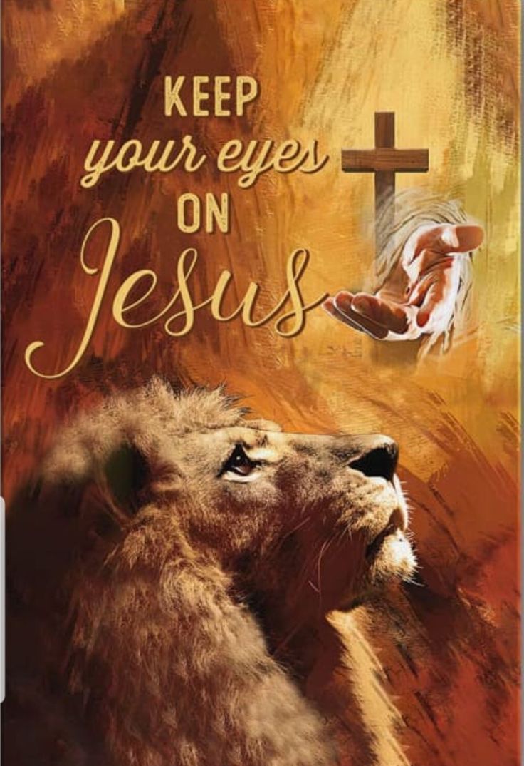 Lion God Wallpapers - Top Free Lion God Backgrounds - WallpaperAccess