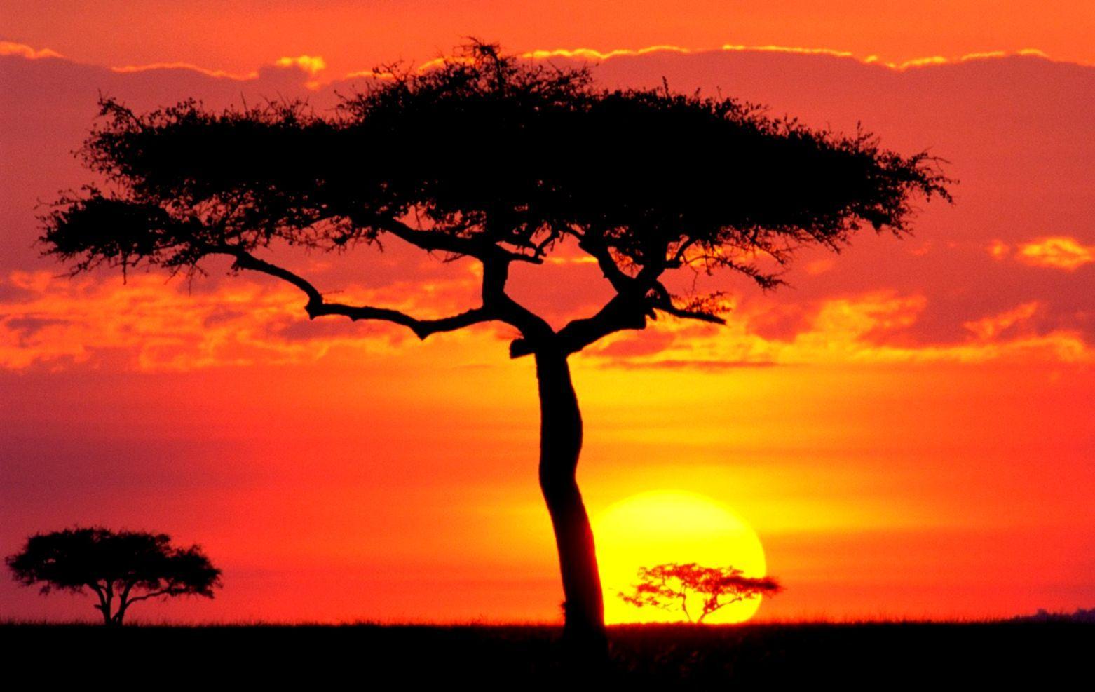 African Wallpapers - Top Free African Backgrounds - WallpaperAccess