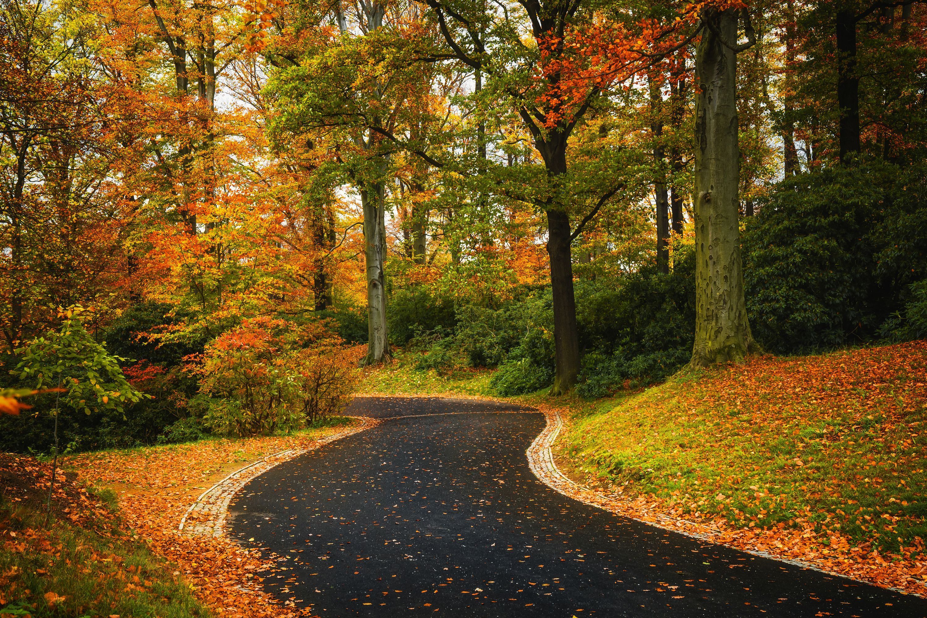 Morning Walk Wallpapers - Top Free Morning Walk Backgrounds ...