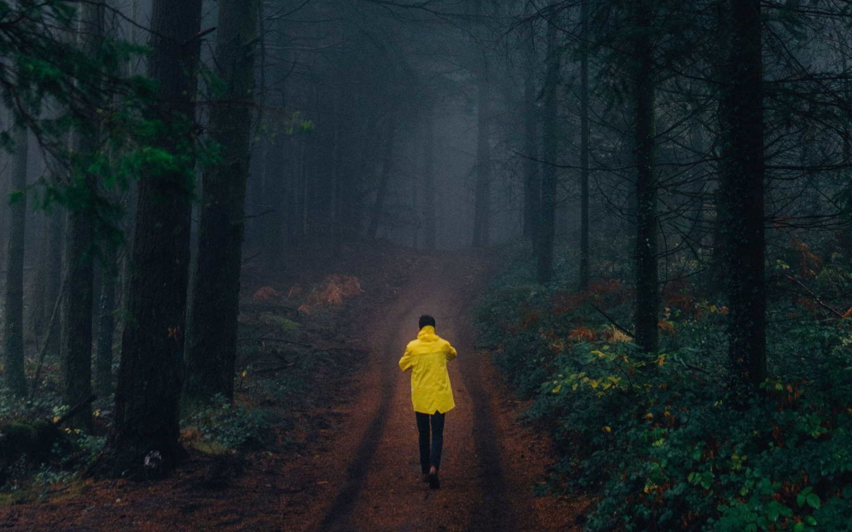 Morning Walk Wallpapers - Top Free Morning Walk Backgrounds ...