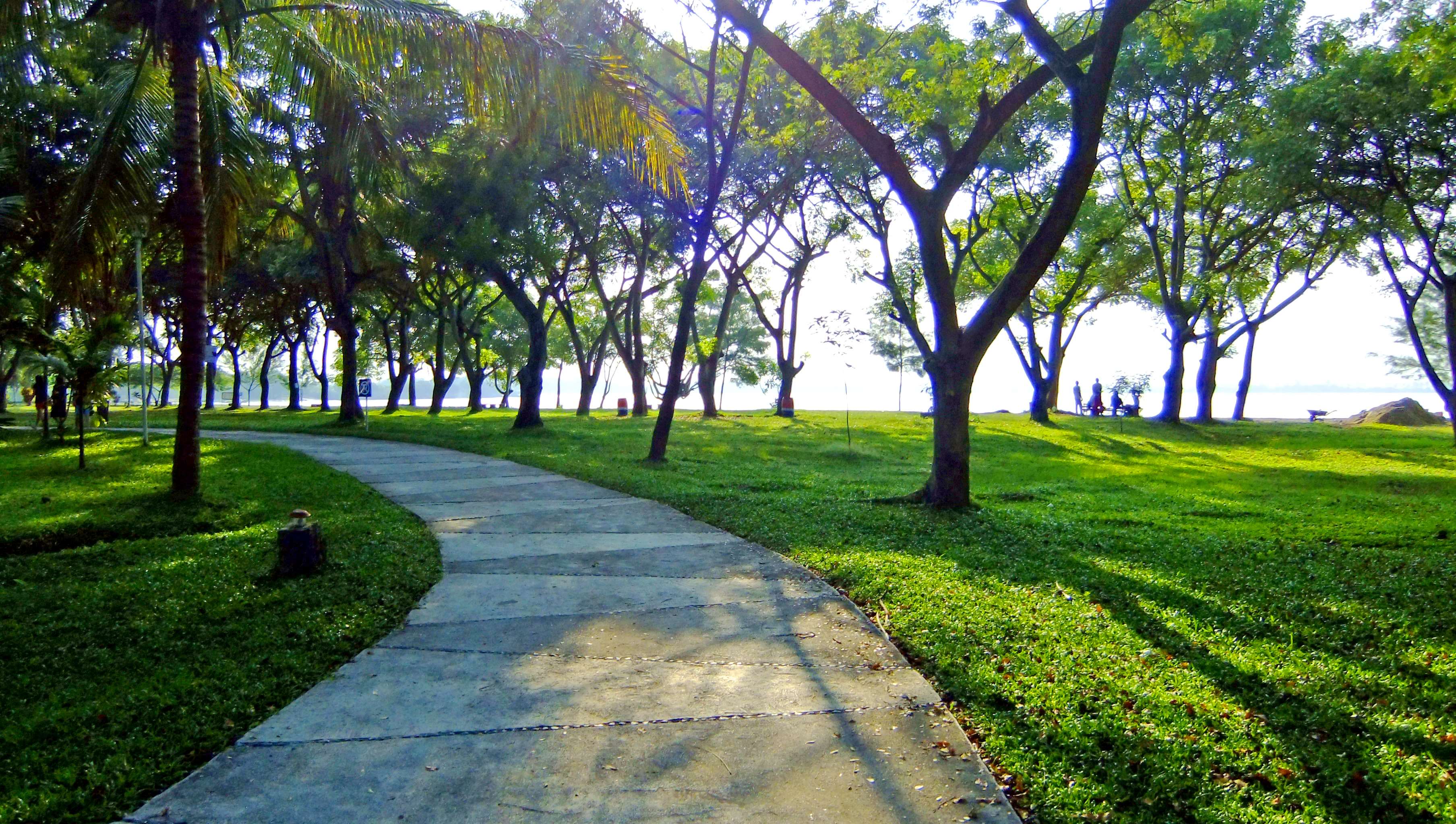 Morning Walk Wallpapers - Top Free Morning Walk Backgrounds ...