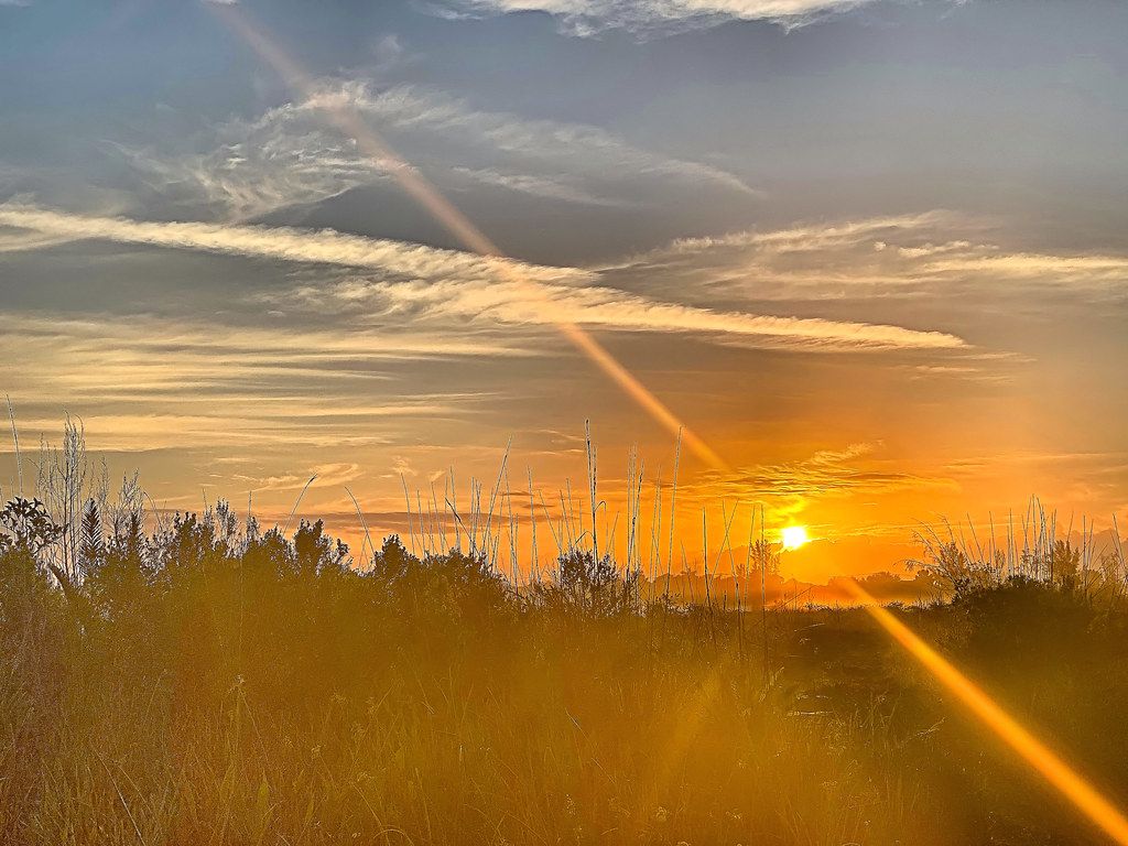 Morning Walk Wallpapers - Top Free Morning Walk Backgrounds ...