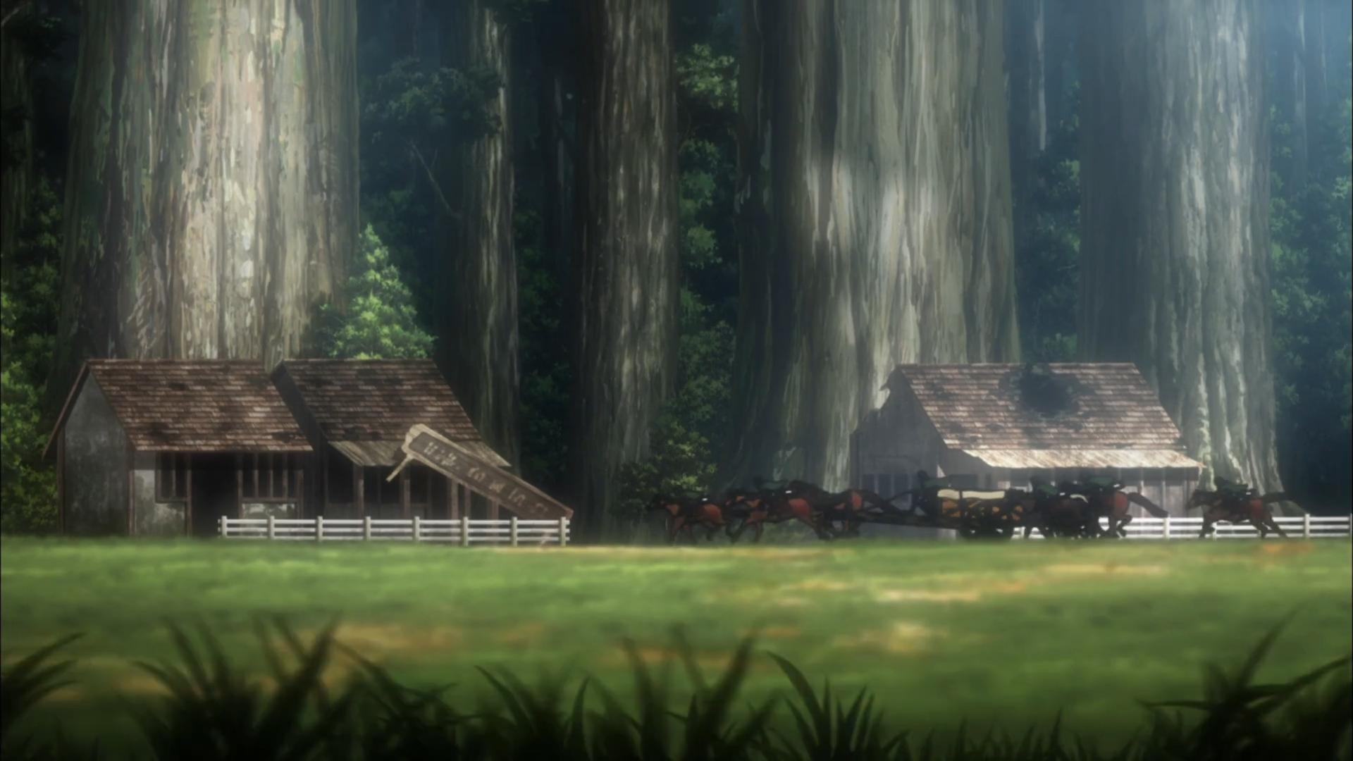 Attack On Titan Tree Wallpapers - Top Free Attack On Titan Tree ...