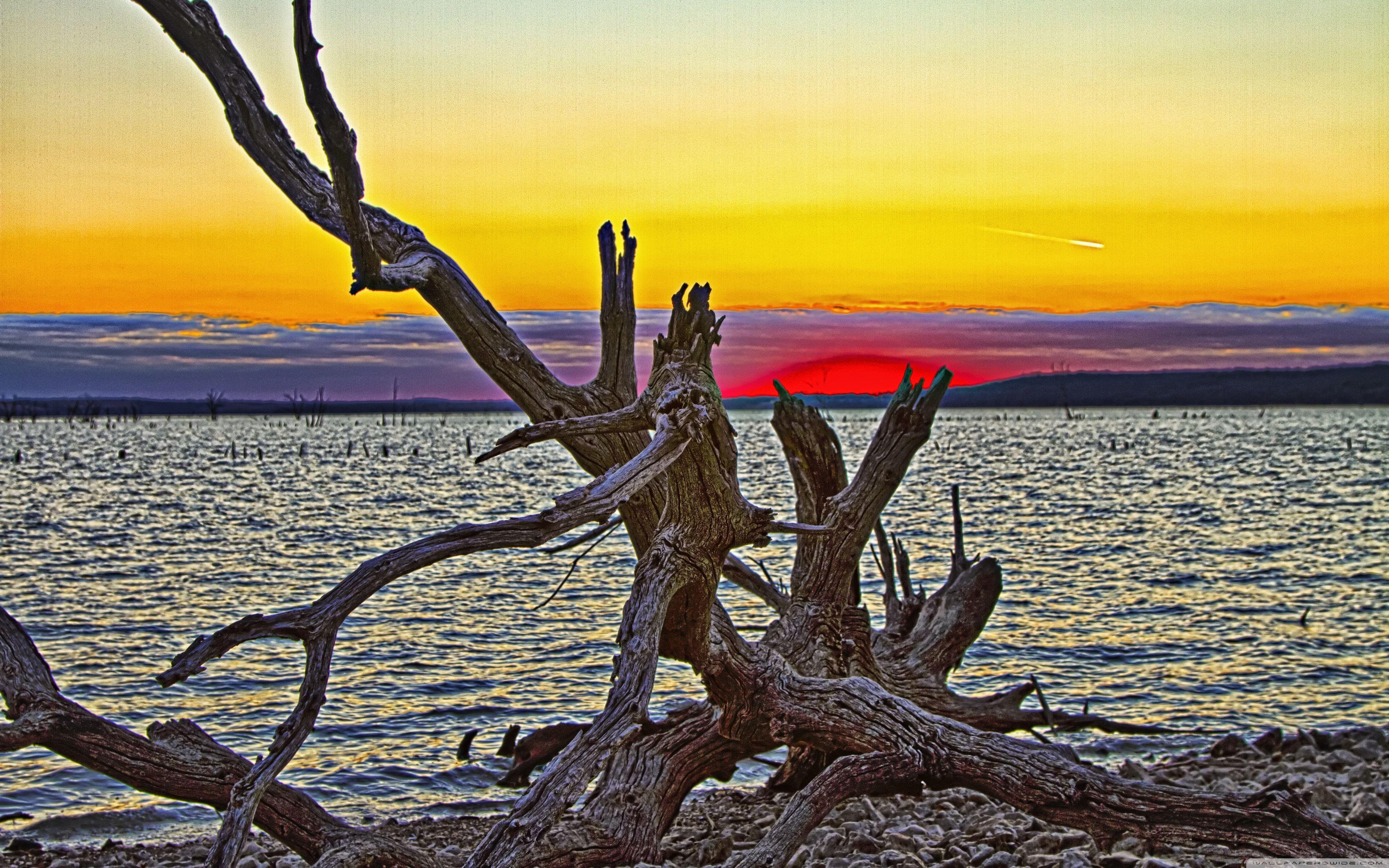 Tai Chi Wallpapers - Top Free Tai Chi Backgrounds - WallpaperAccess