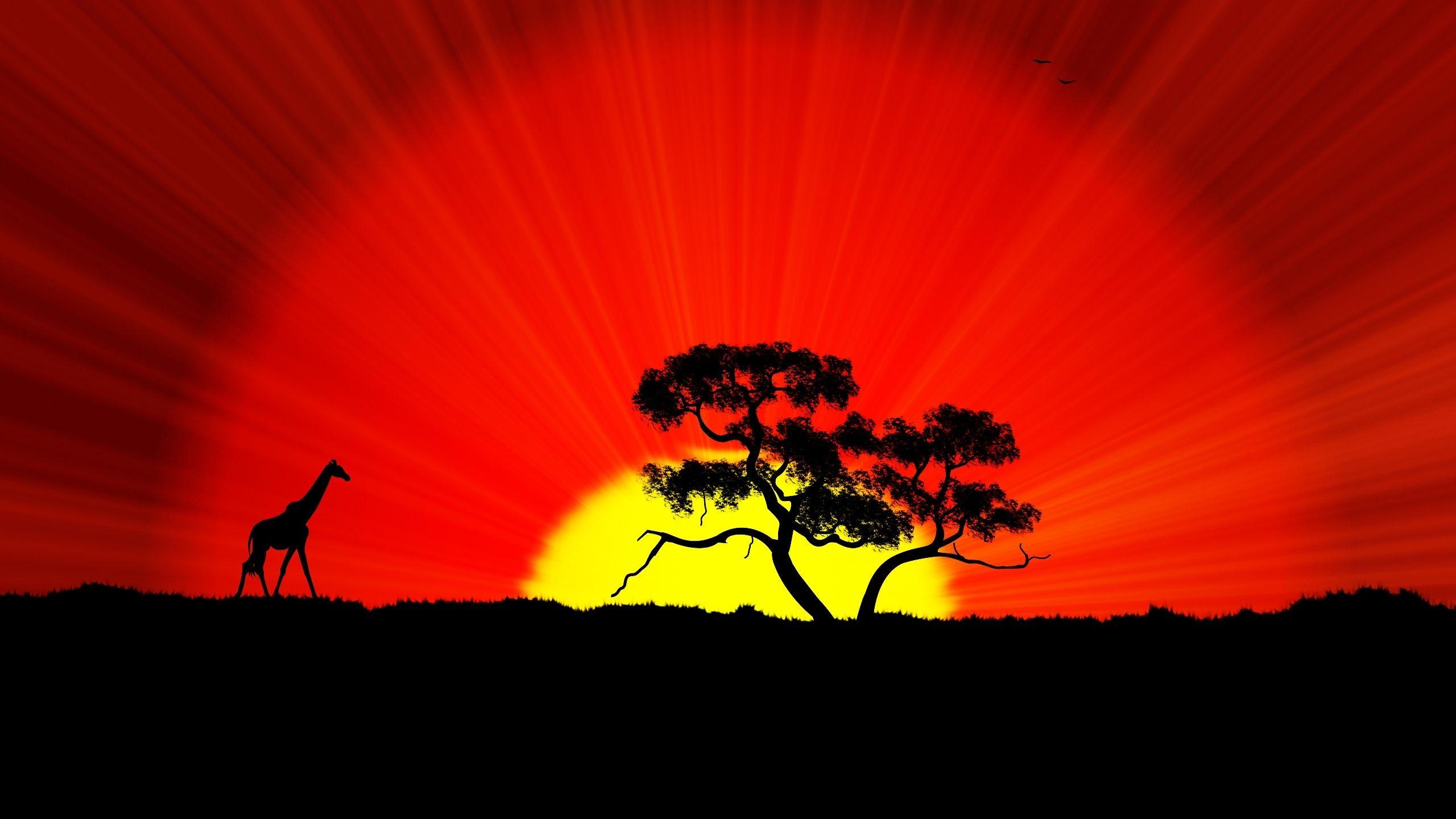 African Wallpapers - Top Free African Backgrounds - WallpaperAccess