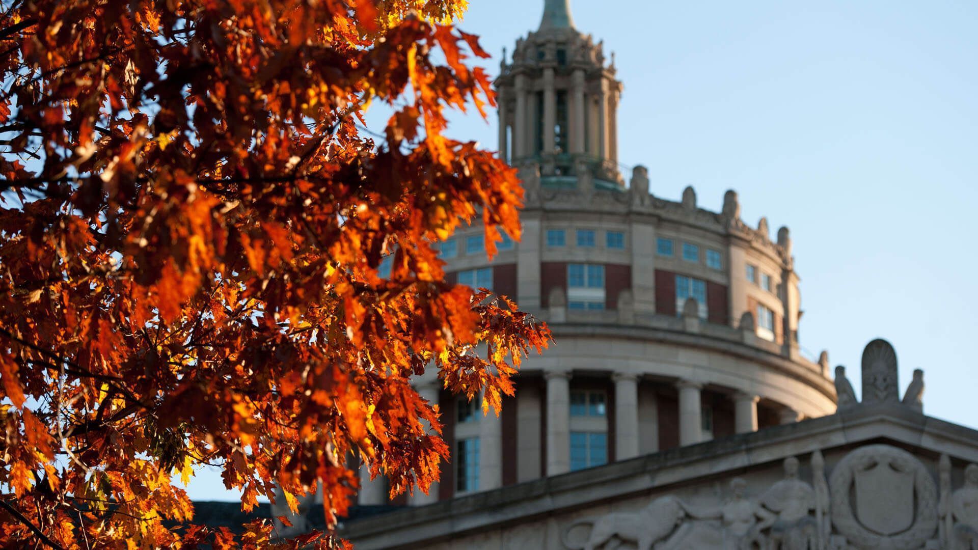 Rochester Wallpapers - Top Free Rochester Backgrounds - WallpaperAccess