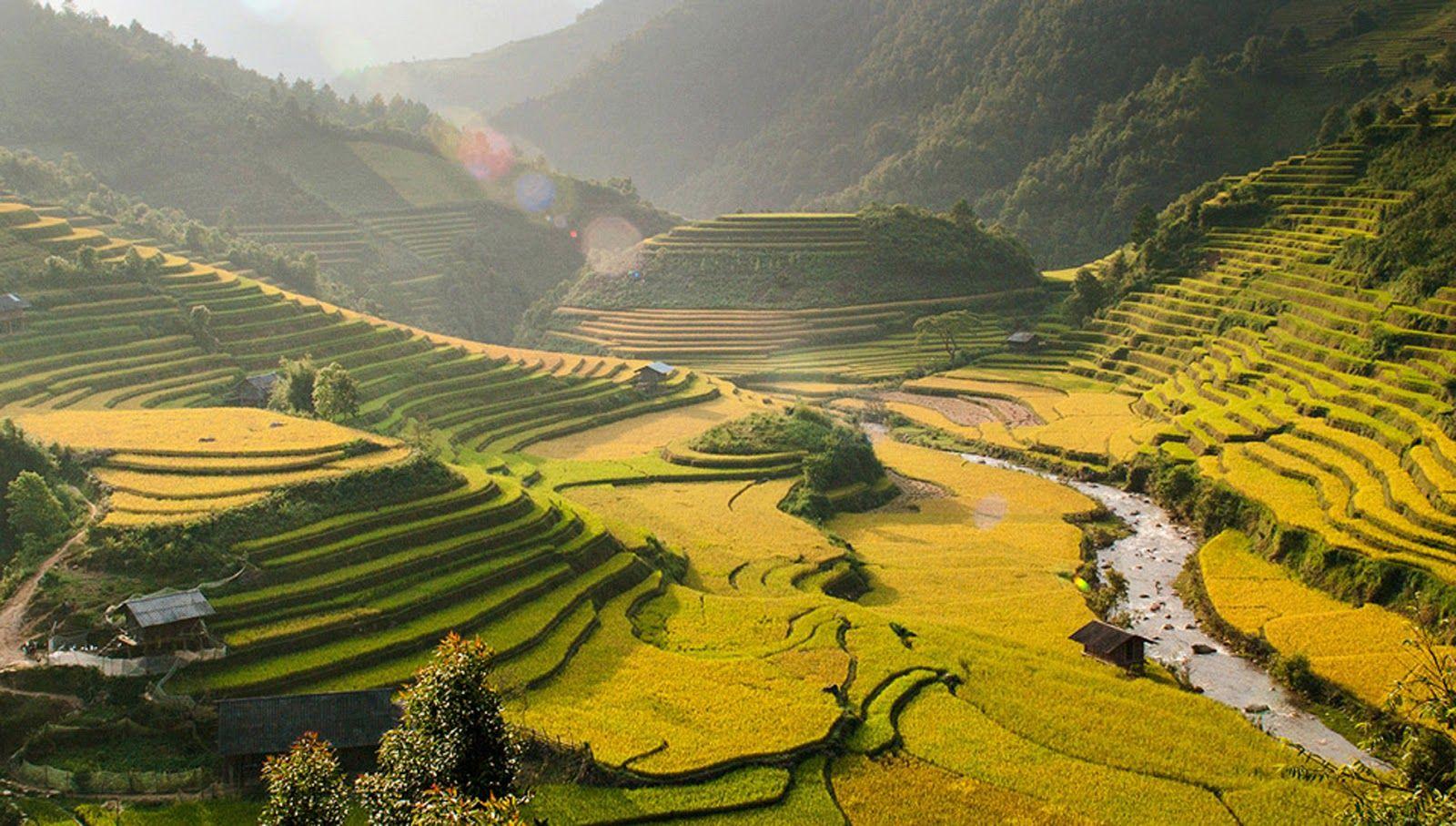 Vietnamese Desktop Wallpapers - Top Free Vietnamese Desktop Backgrounds ...