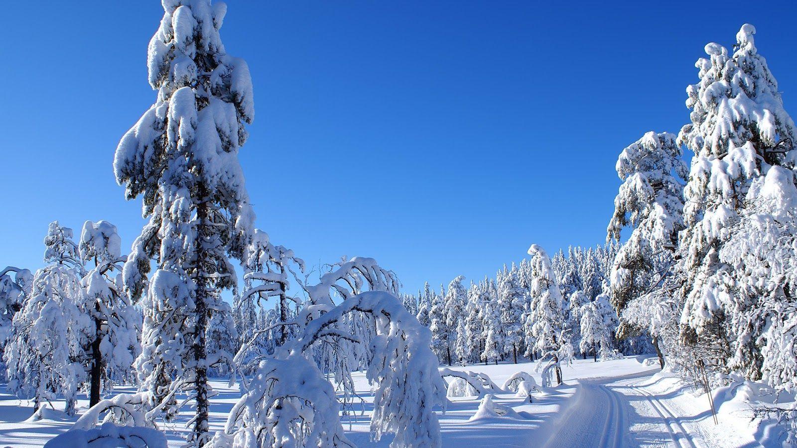 Winter Season Wallpapers - Top Free Winter Season Backgrounds ...