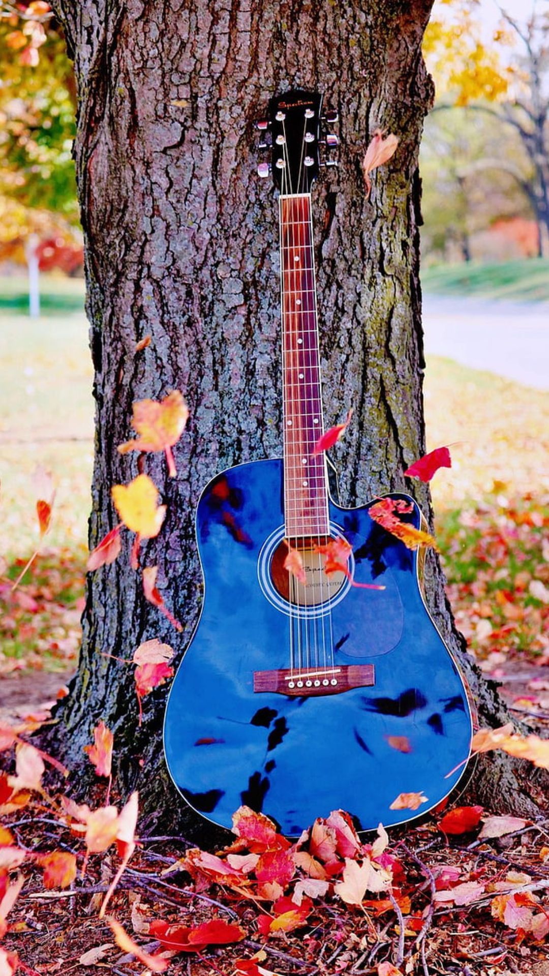 Guitar Mobile Wallpapers - Top Free Guitar Mobile Backgrounds ...