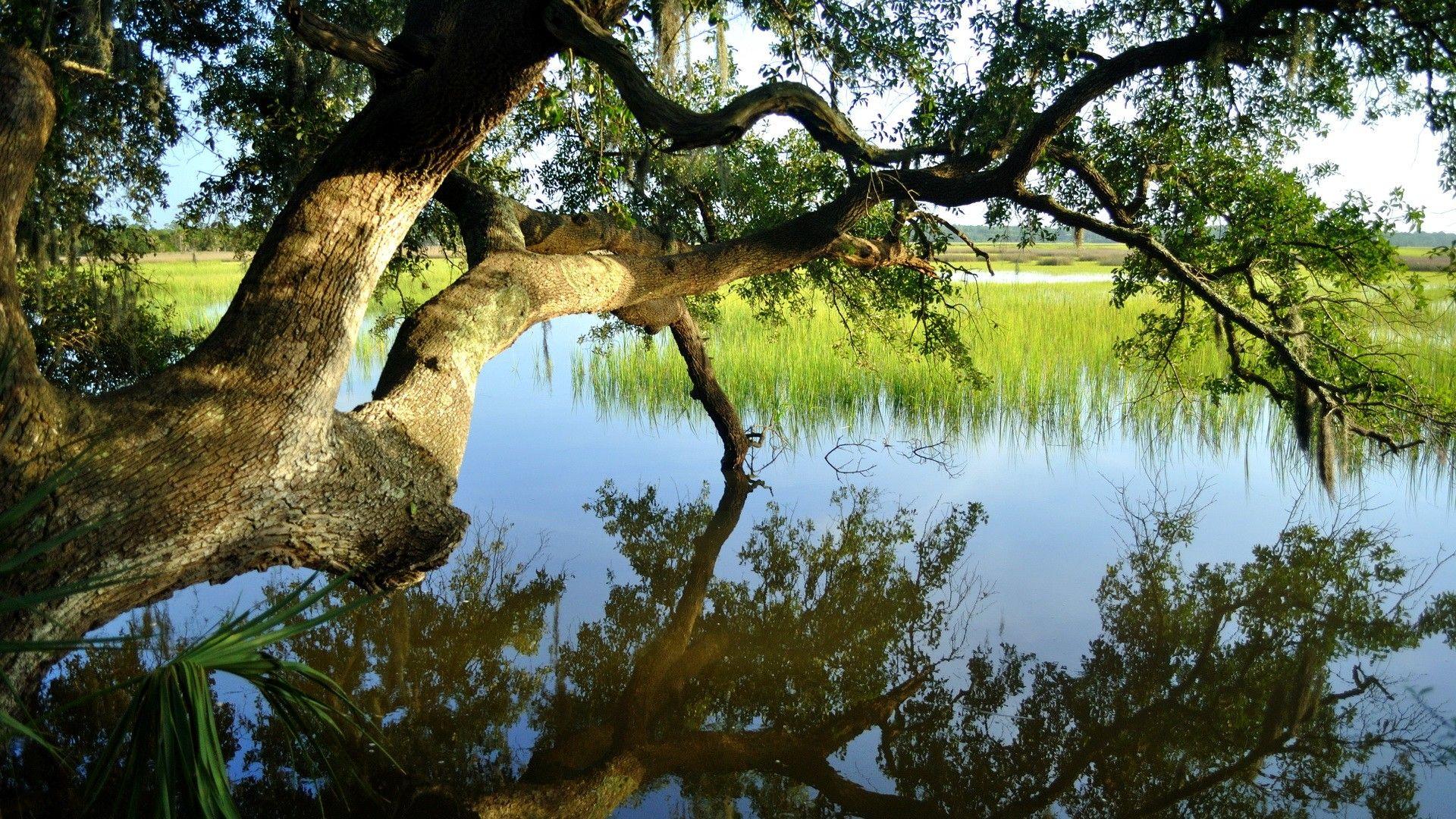 Summer Lake Desktop Wallpapers - Top Free Summer Lake Desktop ...