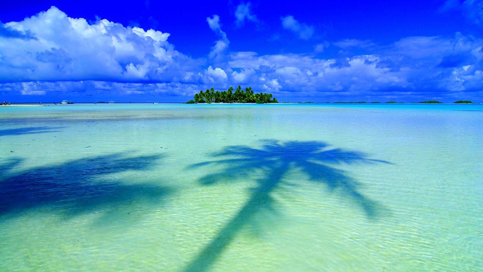 Tropical Desktop Wallpapers - Top Free Tropical Desktop Backgrounds ...