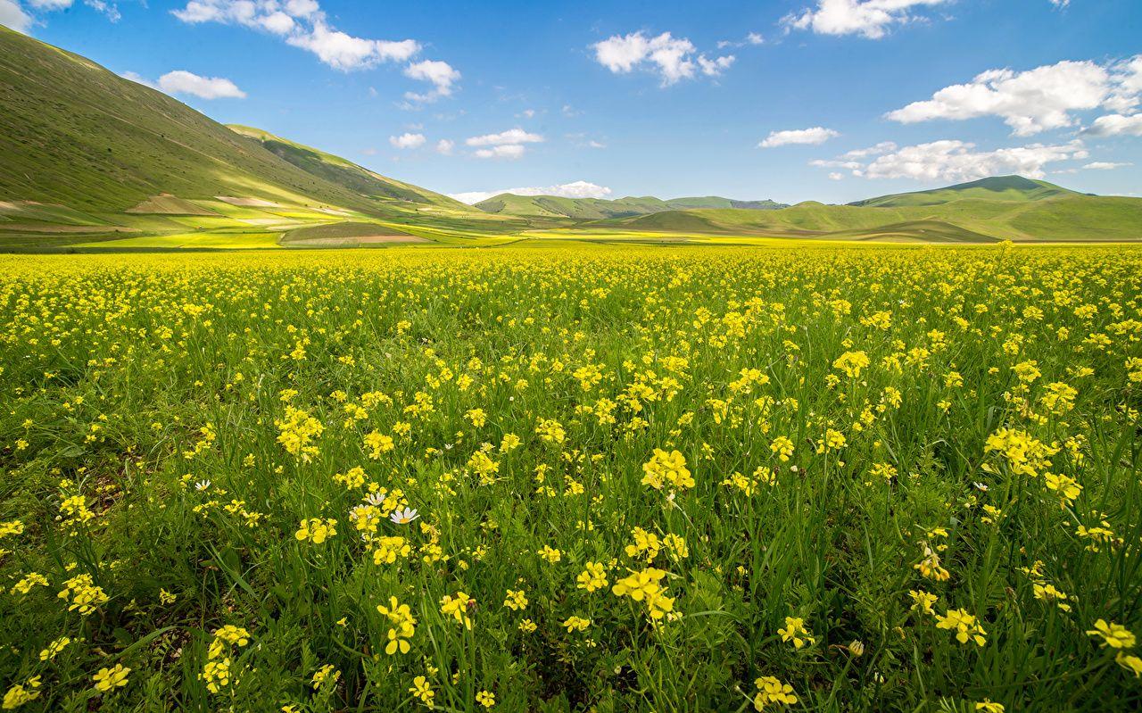 Summer Nature Desktop Wallpapers - Top Free Summer Nature Desktop ...