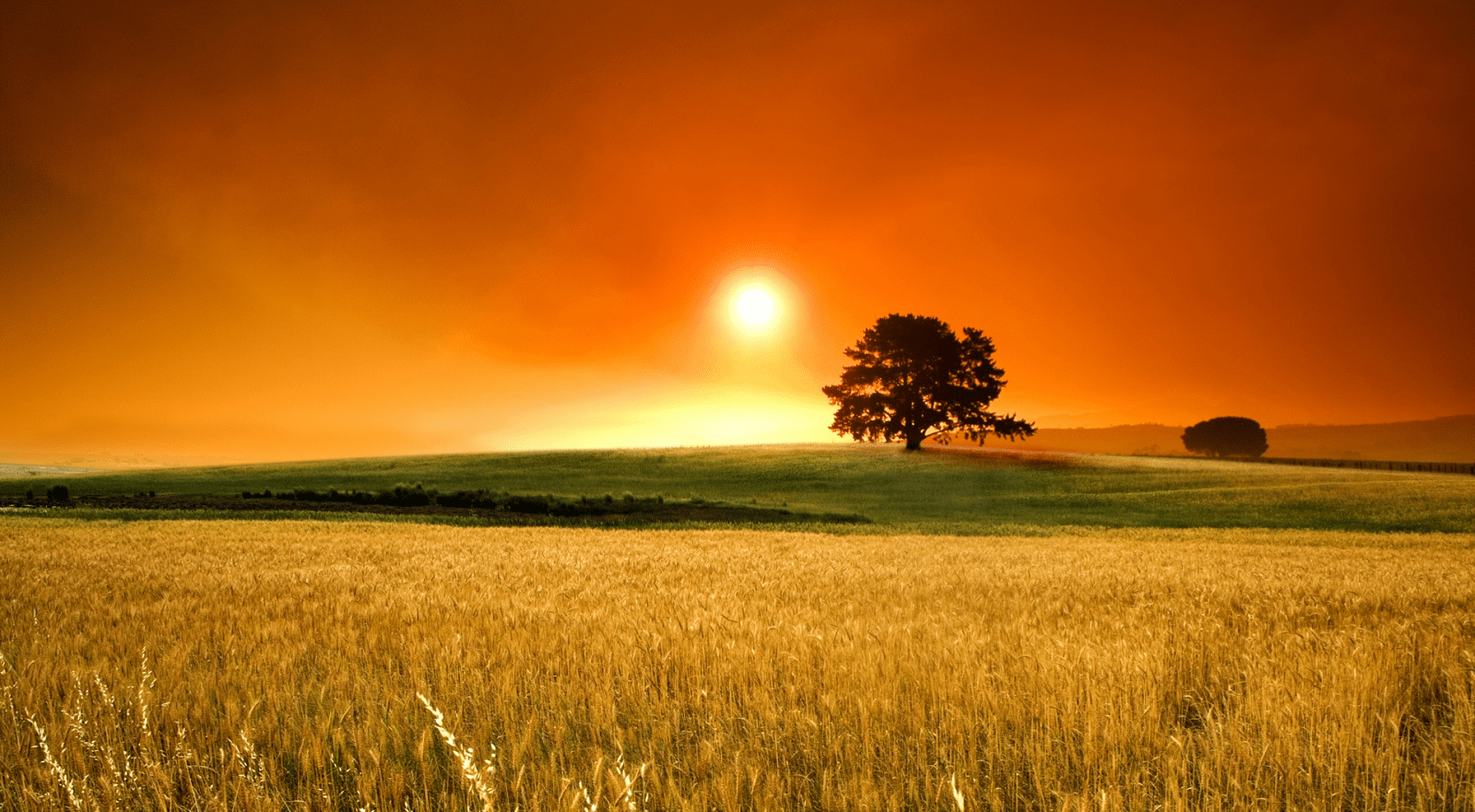 Summer Sunset Desktop Wallpapers - Top Free Summer Sunset Desktop ...