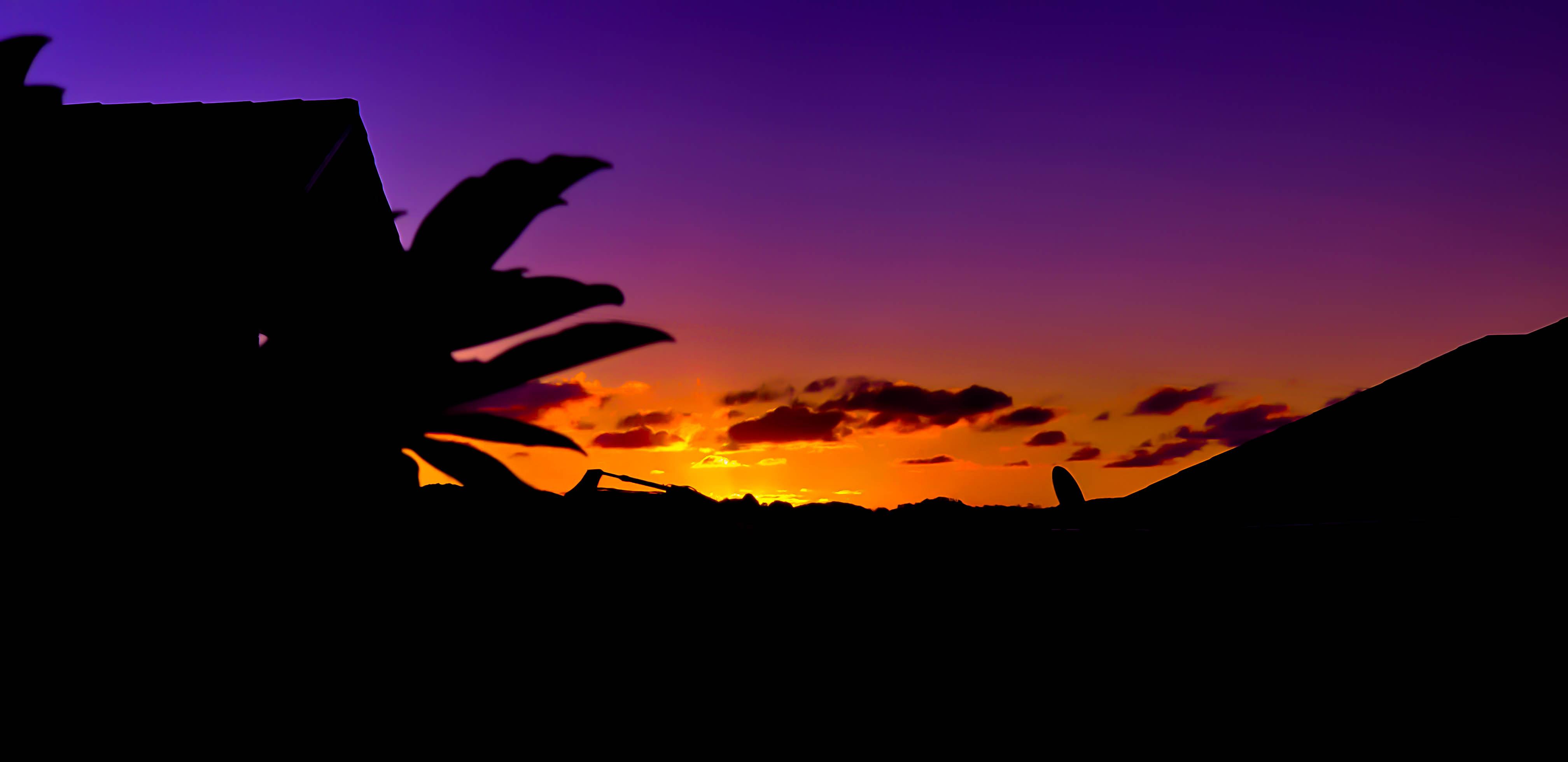 Vaporwave Sunset Wallpapers - Top Free Vaporwave Sunset Backgrounds ...