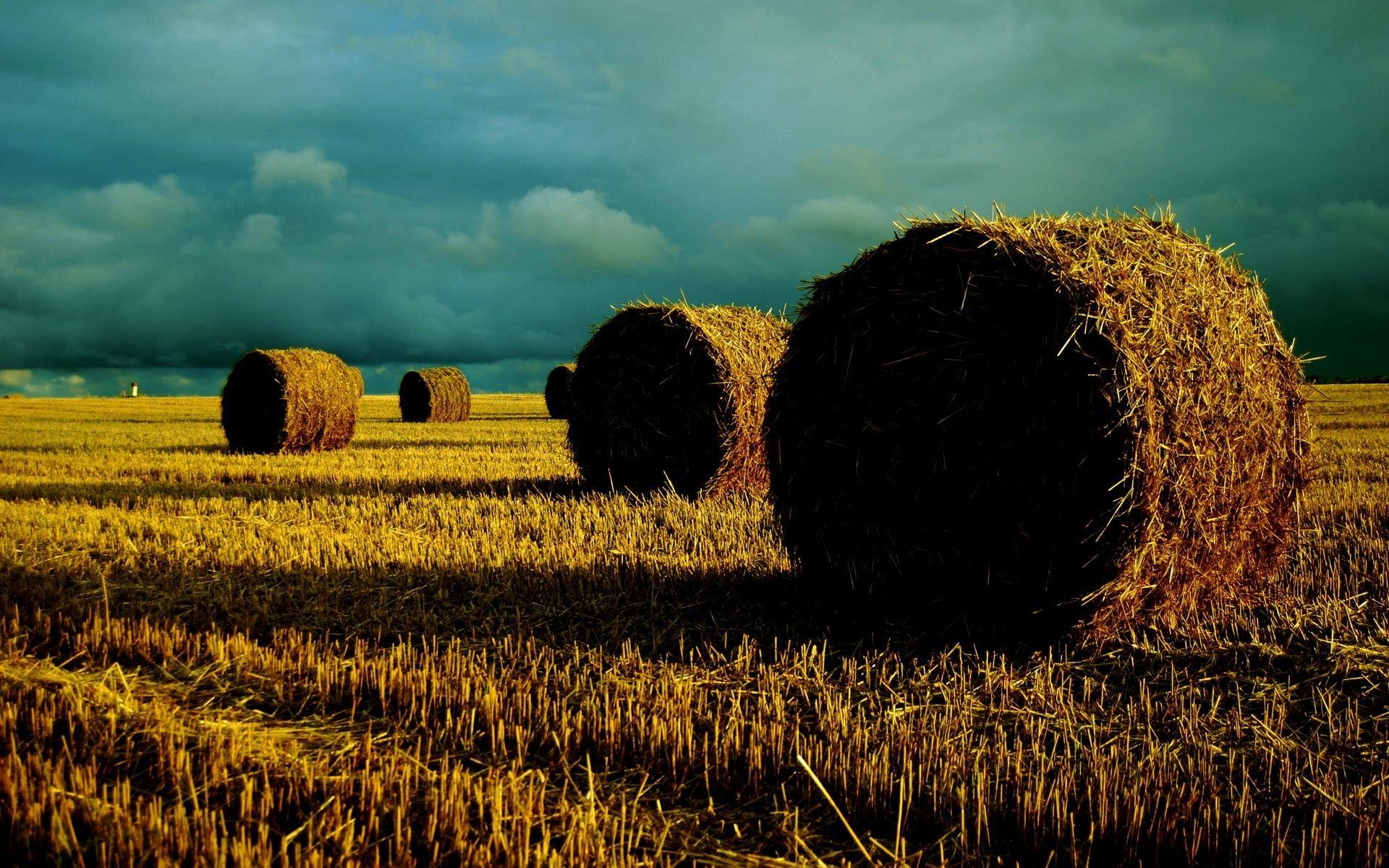 Late Desktop Wallpapers - Top Free Late Desktop Backgrounds ...