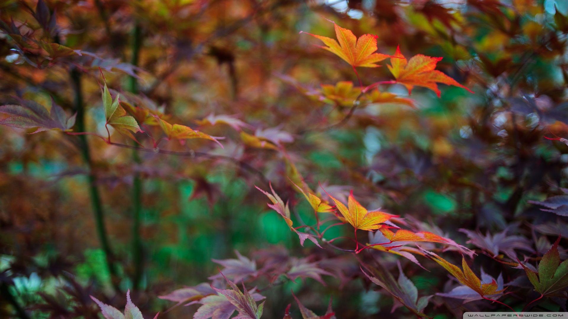 Late Desktop Wallpapers - Top Free Late Desktop Backgrounds ...